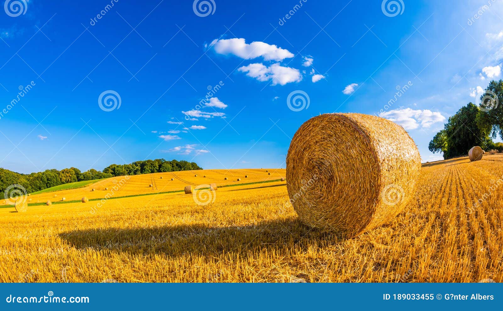 Hay stack in farmland stock image. Image of field, outdoors - 189033455
