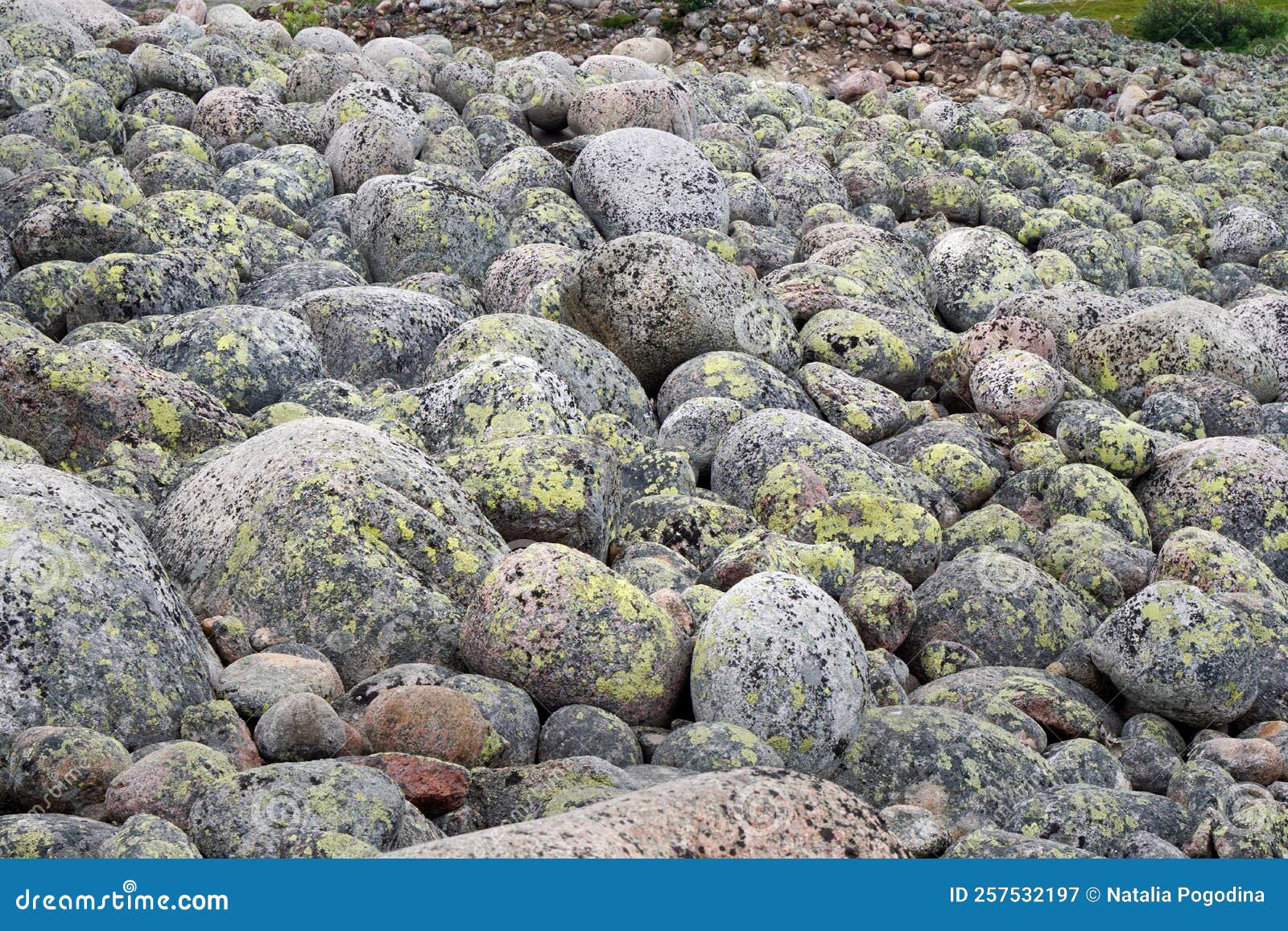 Large Round Stones on the Beach of Sea Stock Image - Image of pattern ...
