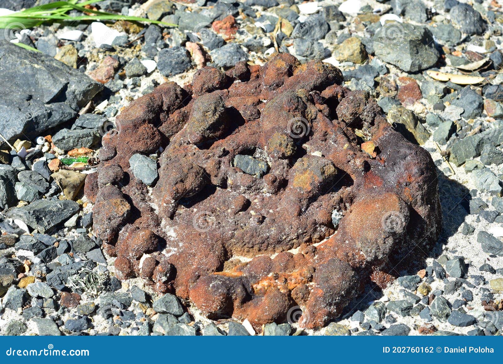 Large Rusted Iron Cog Wheel Stock Photo - Image of iron, blob: 202760162