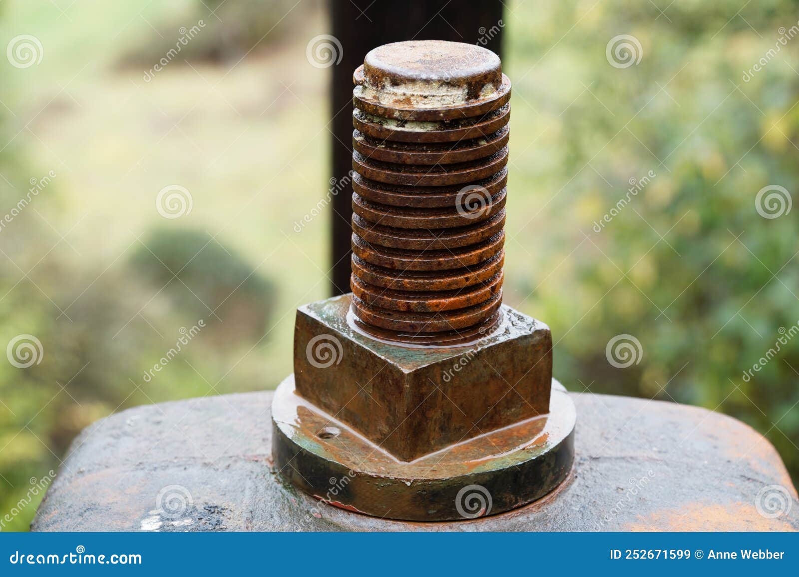 A large, rusty metal bolt stock image. Image of rust - 252671599