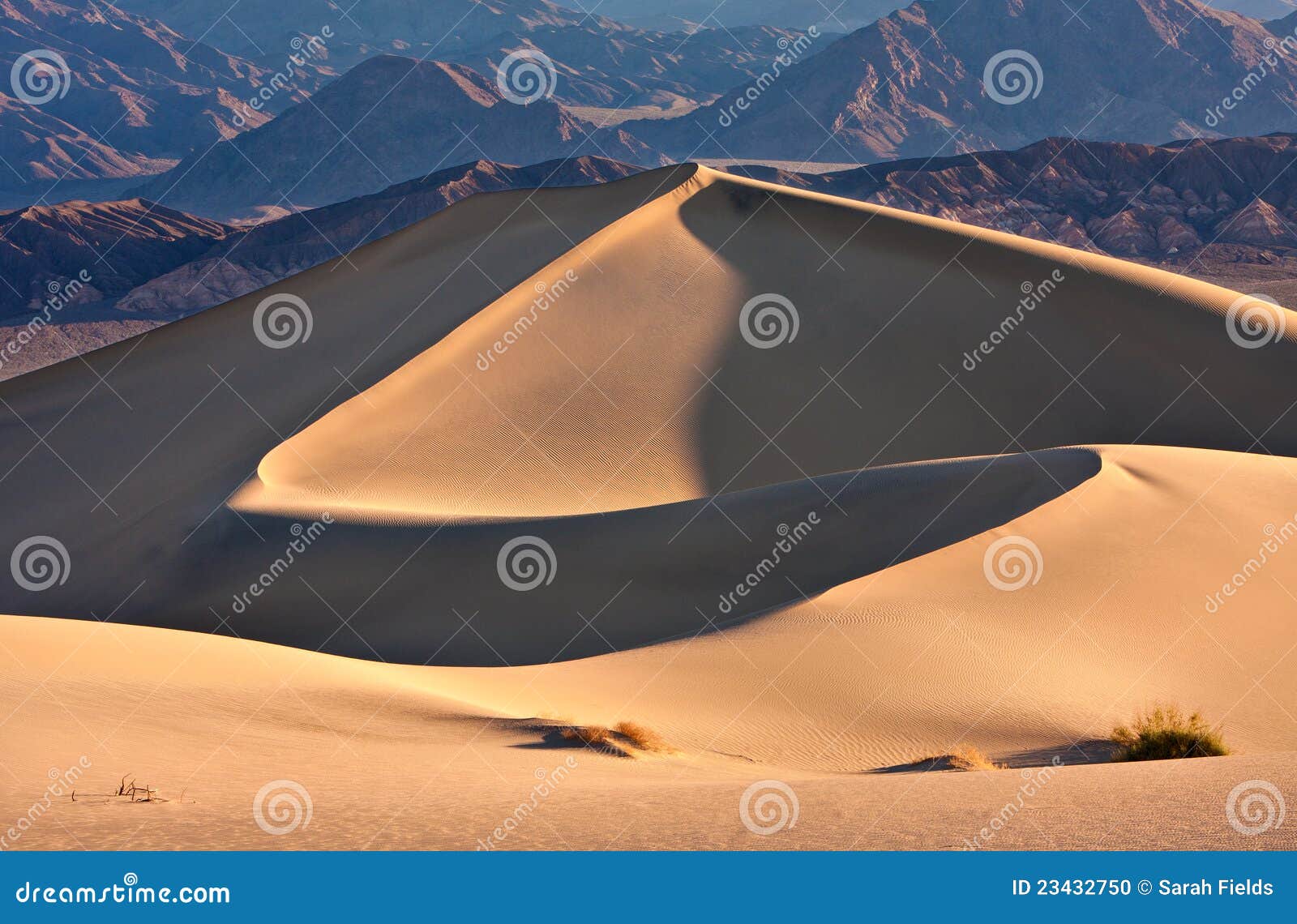 Large Sand Dune Ridge stock photo. Image of horizontal - 23432750