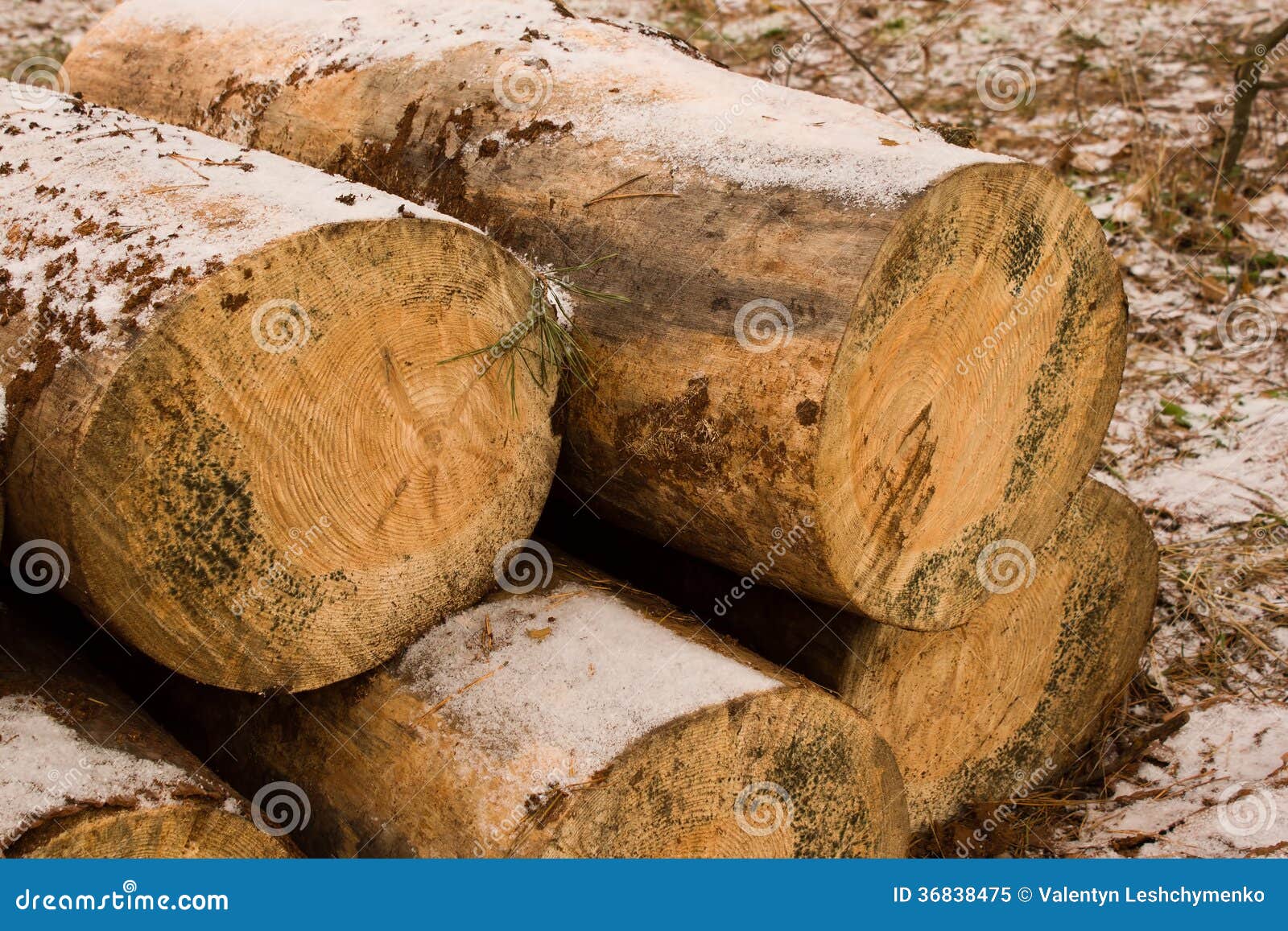 Large sawn timber stock image. Image of rough, natural - 36838475