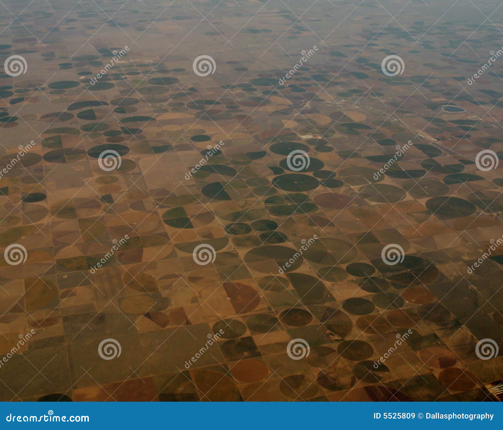 Large Scale Commercial Farming Stock Image - Image of land, blue: 5525809