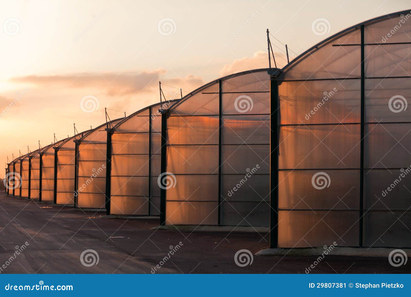 Large Scale Industrial Greenhouse Lit by Sunet Stock Image - Image of ...