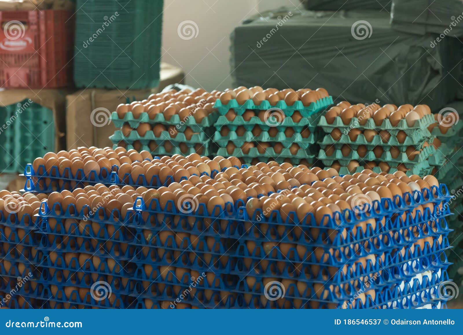 Large-scale Egg Production with Autonomized System Stock Image - Image ...