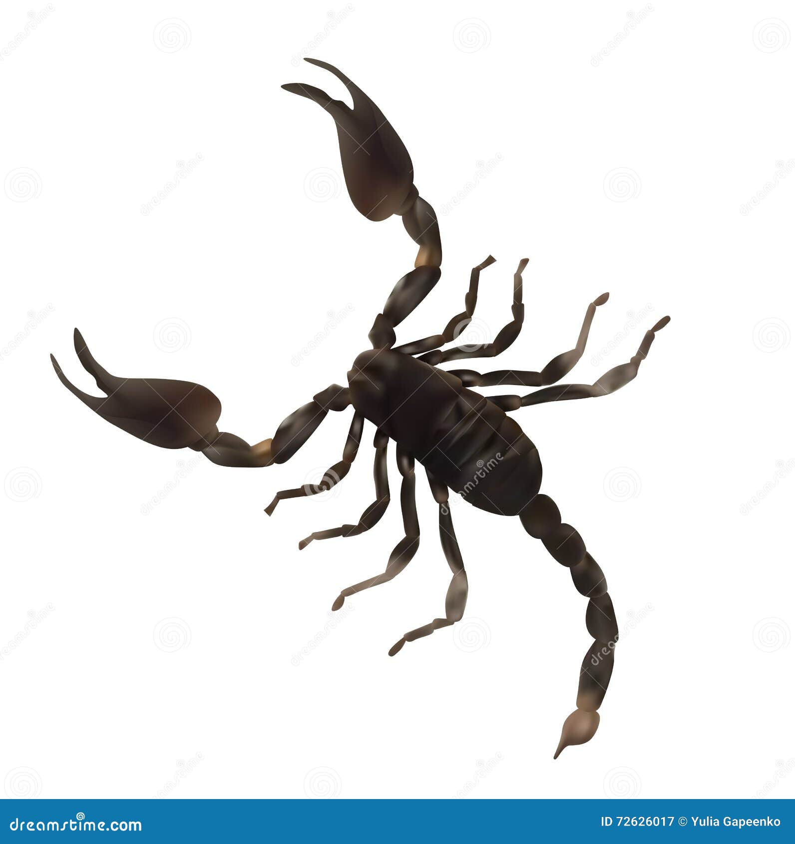 Scorpion, Realistic Illustration Royalty-Free Cartoon | CartoonDealer ...