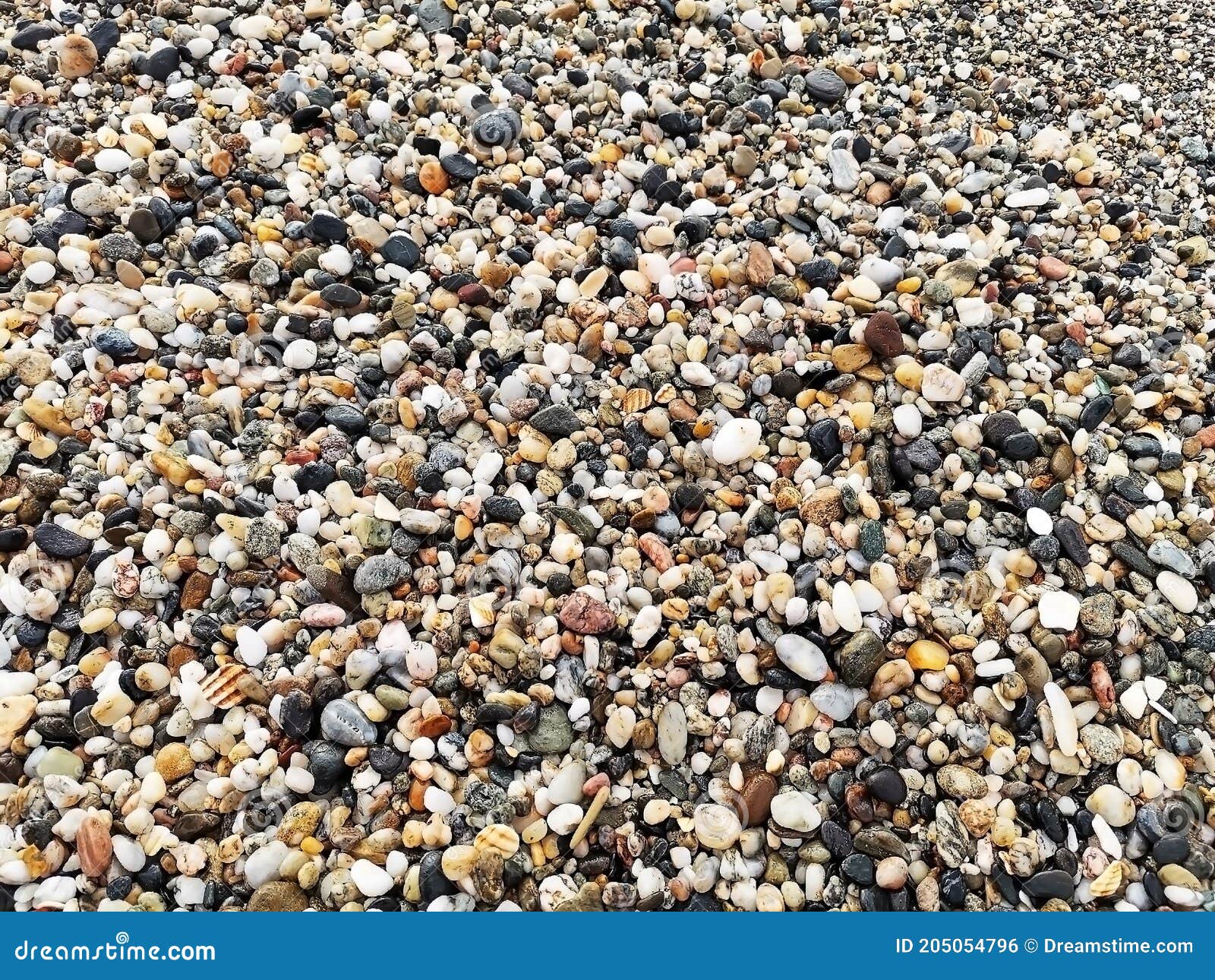 Large Sea Sand in the Intertidal Zone Stock Photo - Image of texture ...