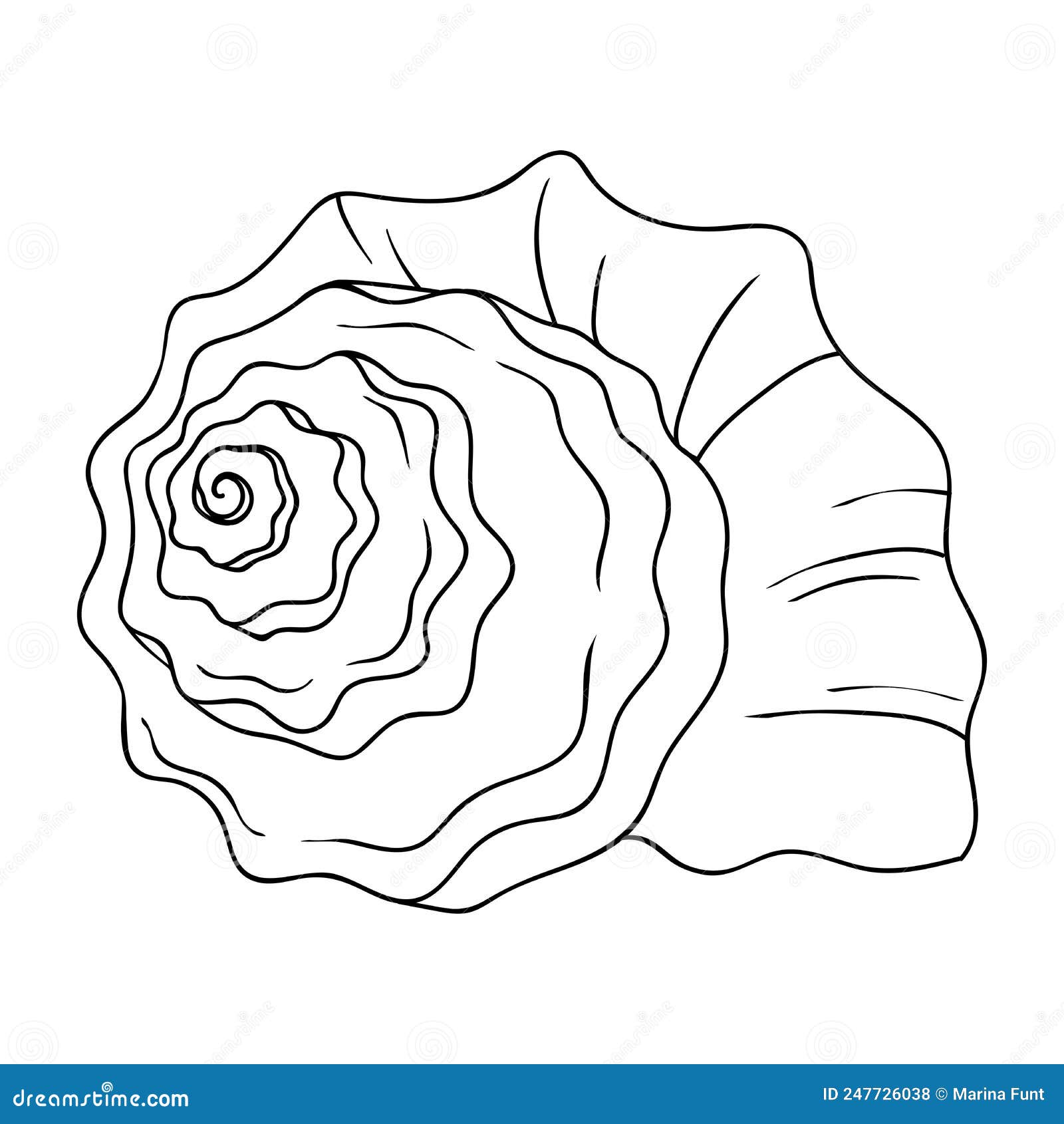 Large Sea Shell Linear Simple Icon. Shell As a Symbol of Harmony ...