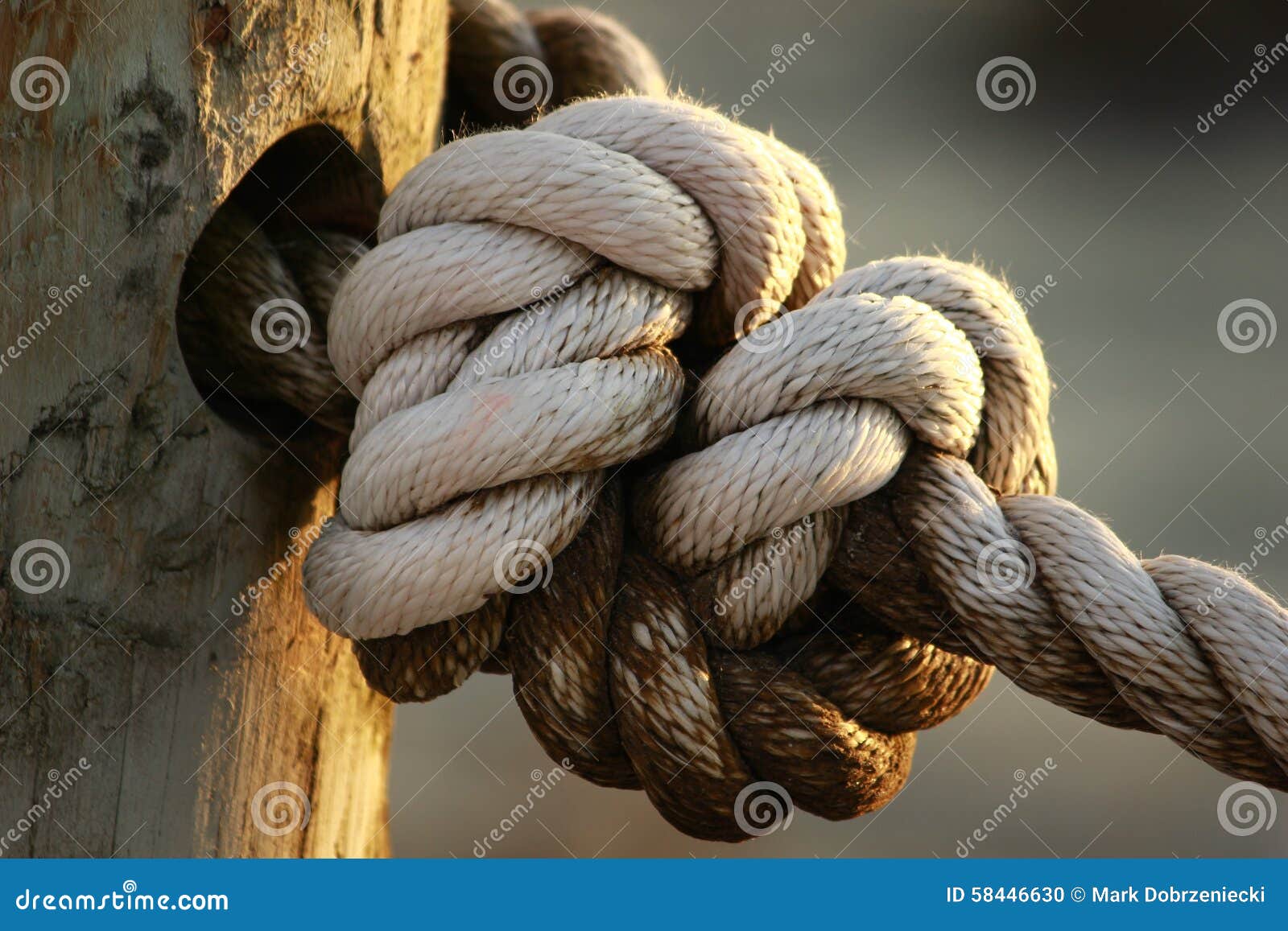 Large seamans rope knot stock photo. Image of seamans - 58446630