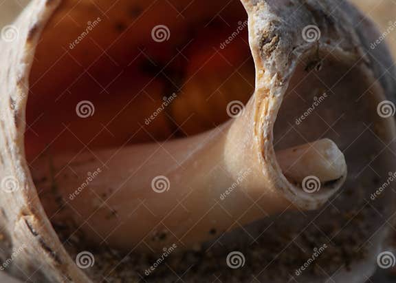 One large sink stock image. Image of beach, noise, pattern - 138384045