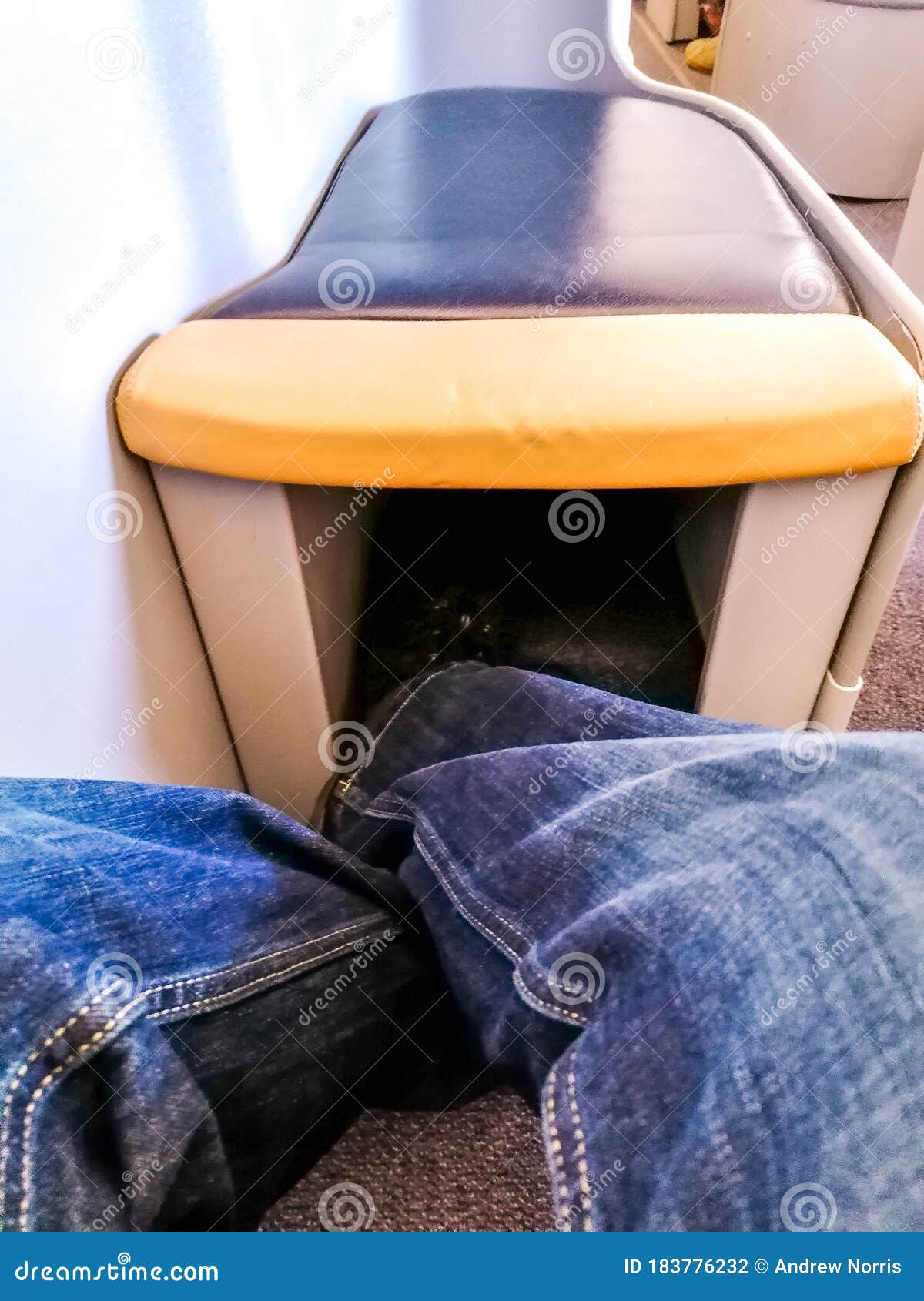 First Class Seating stock photo. Image of customer, passenger - 183776232