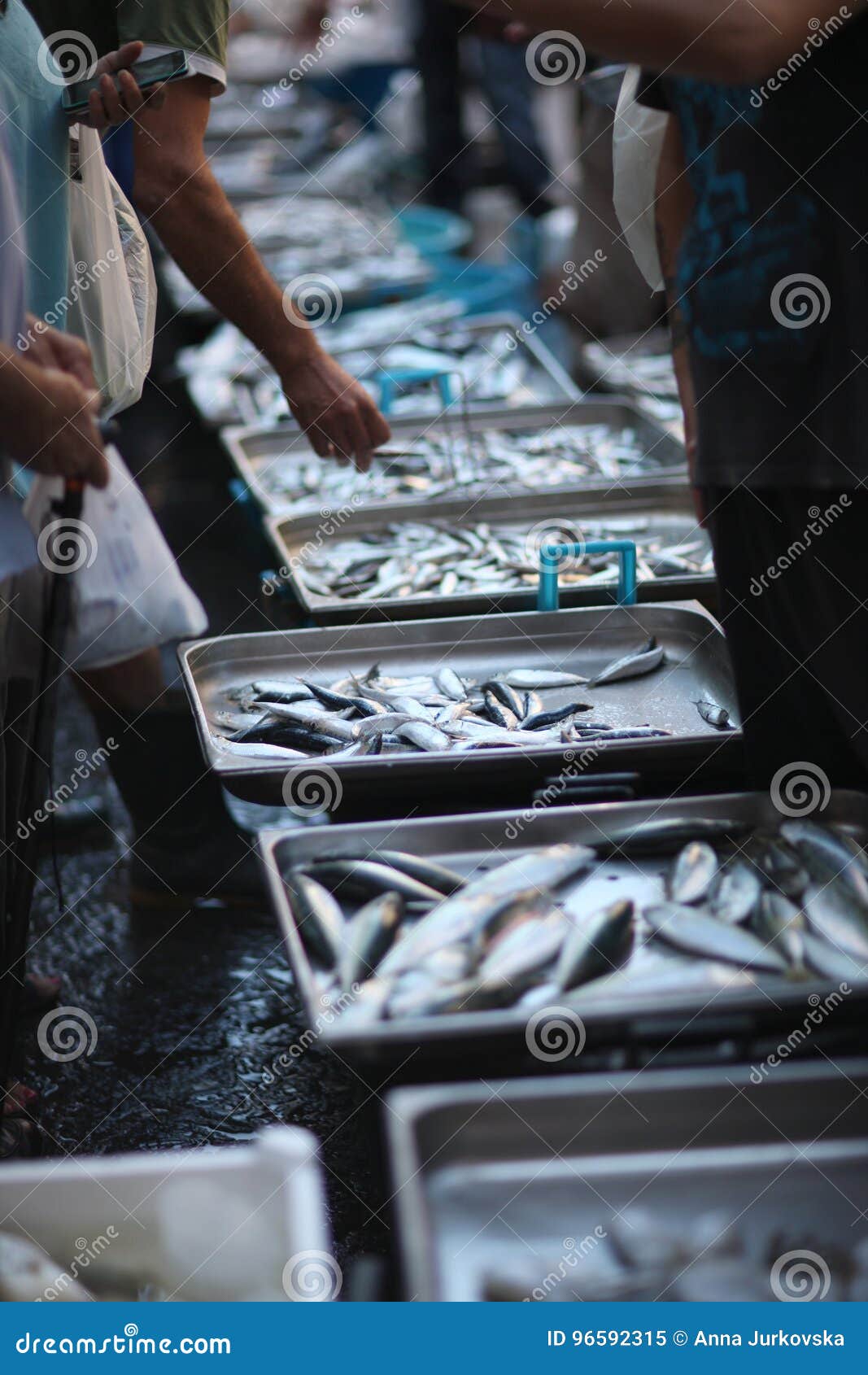 Large Selection of Fresh Fish Stock Image - Image of background, trade ...