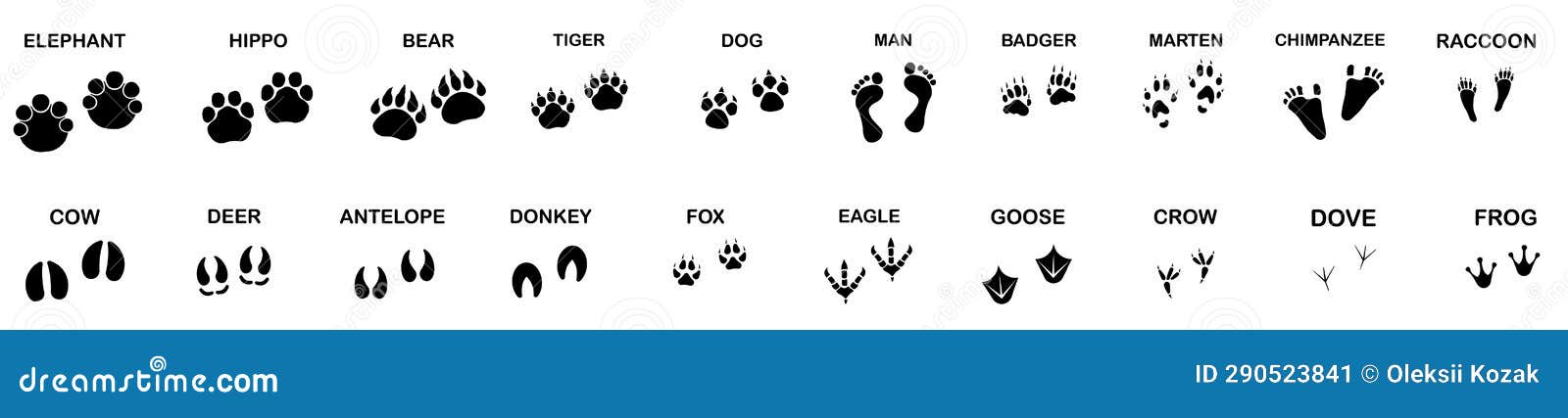 Large Set of Animal and Bird Footprints Isolated on White. Vector ...