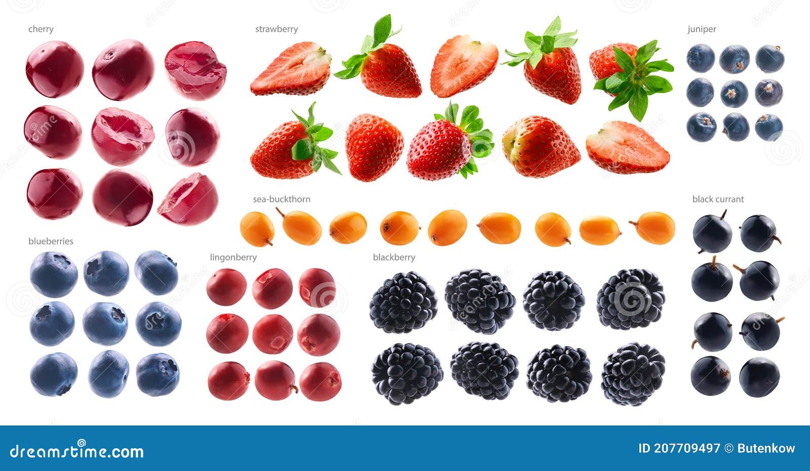 Large Set of Different Berries on a White Background Stock Image ...