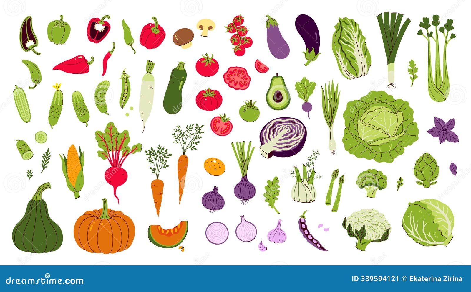 Large Set of Different Vegetables Isolate on White Background. Vector ...