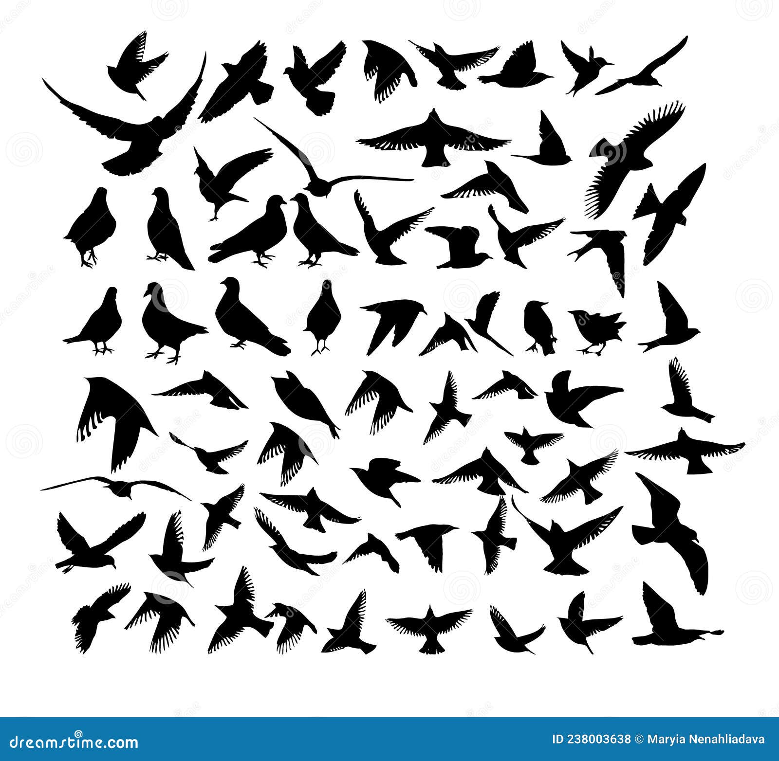 A Large Set of Flying and Standing Birds. Vector Illustration Stock ...