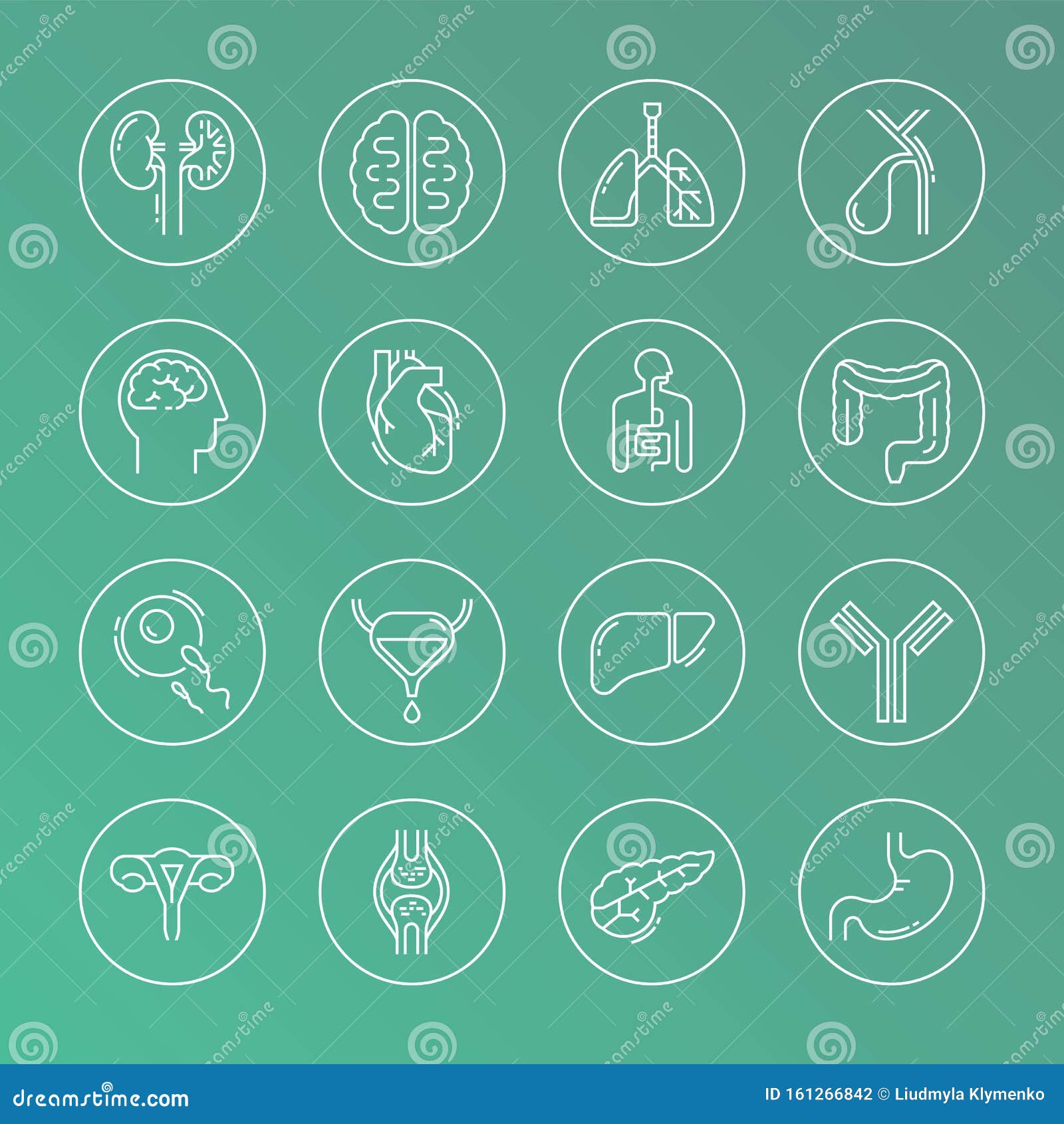 Large Set of Linear Vector Icons of Human Organs. Stock Vector ...