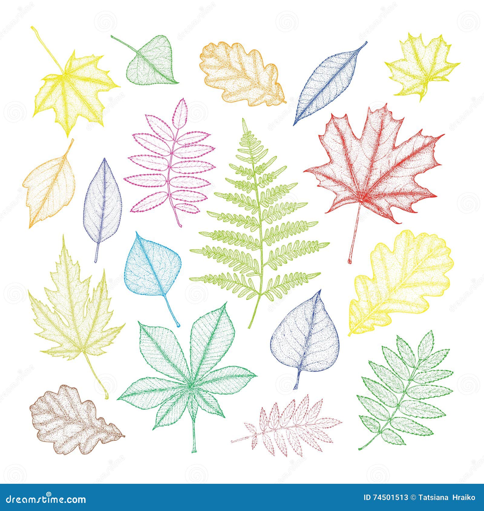 Large Set of Multi-colored Leaves of Different Trees. Hand Drawing ...