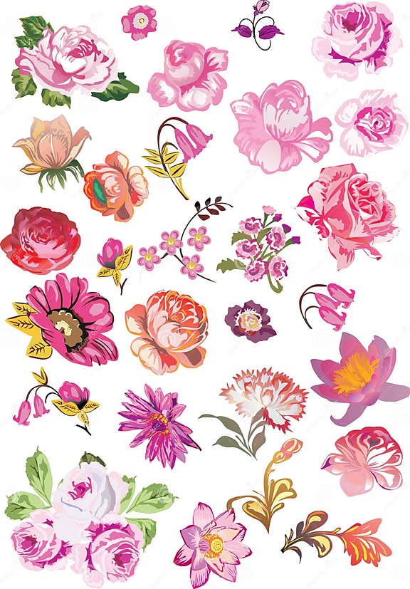 Large set of pink flowers stock vector. Illustration of flowers - 12714607