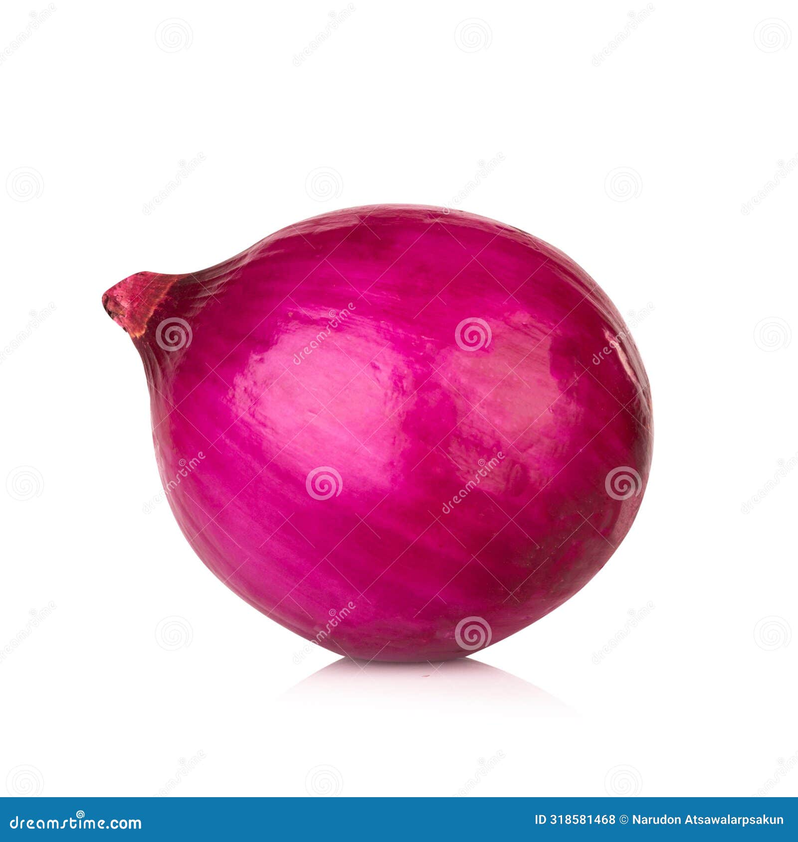Large Shallot Isolated on White Background Stock Photo - Image of bulb ...