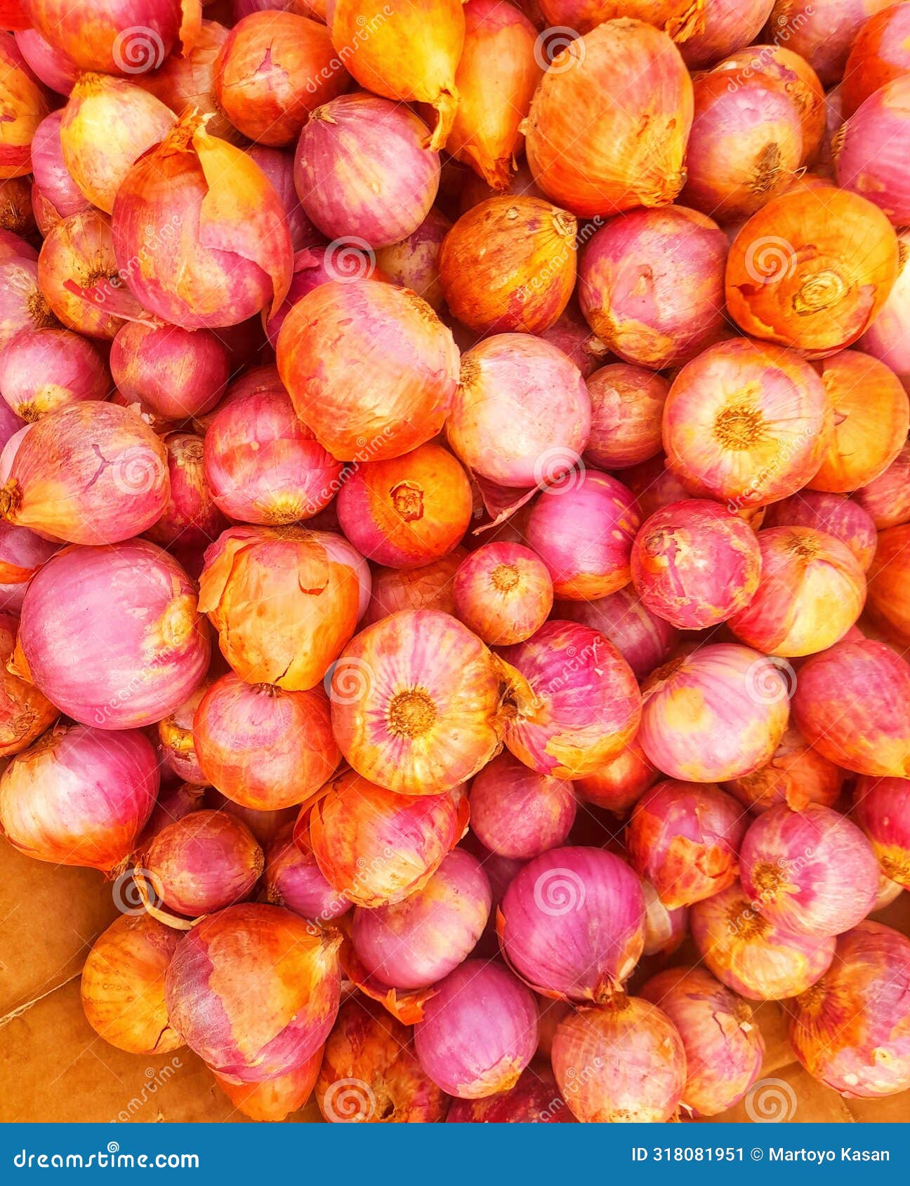 Large Shallots Sold in the Local Market Stock Image - Image of ...