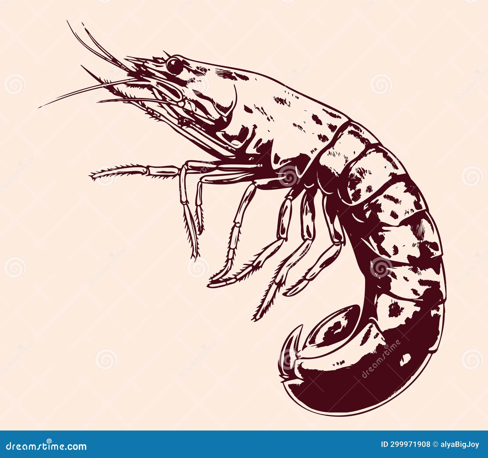 Large Shrimp Sketch, Hand Drawn Prawn in Engraved Graphic Style for ...