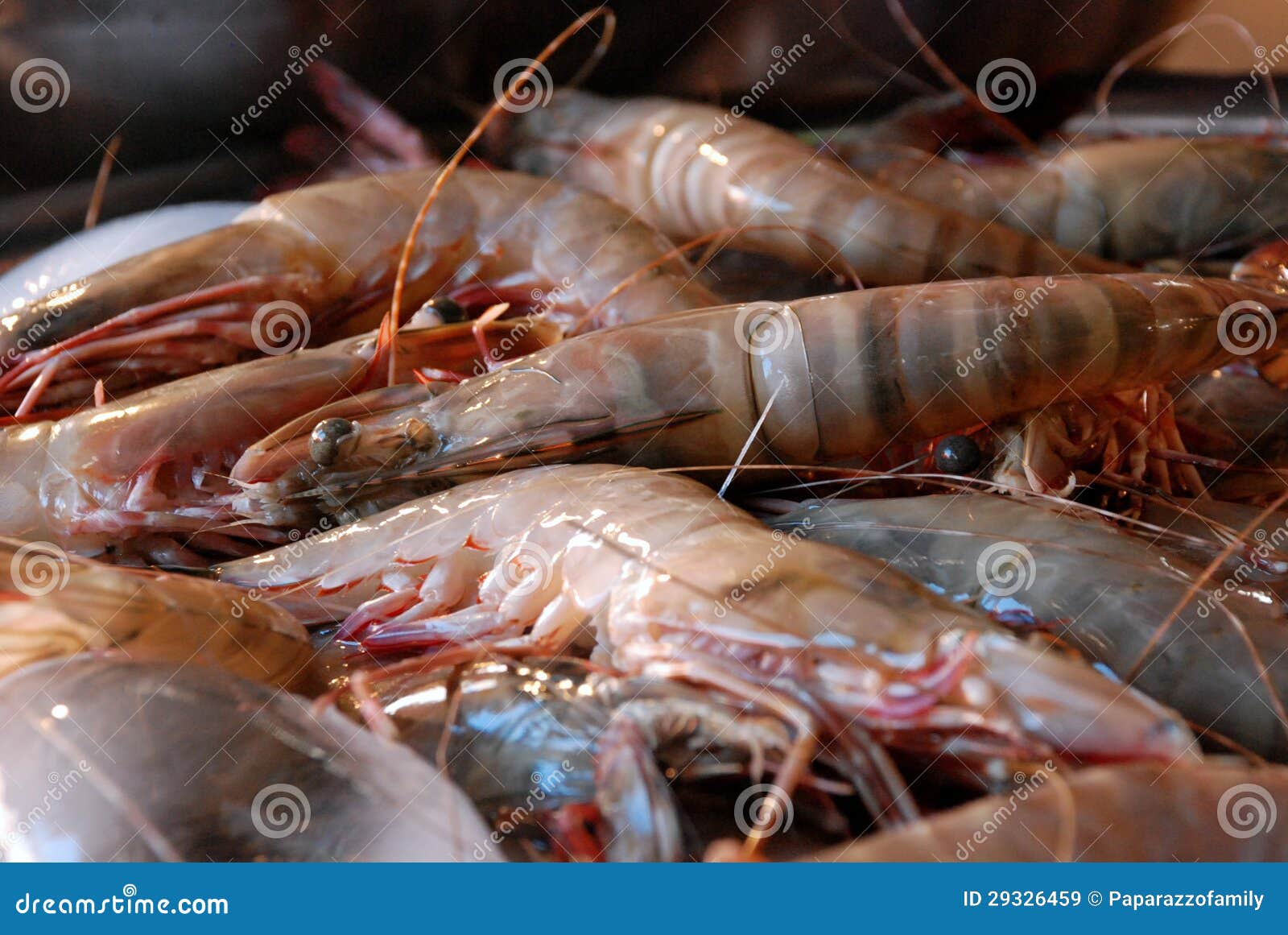 Large shrimps stock image. Image of coldblooded, color - 29326459