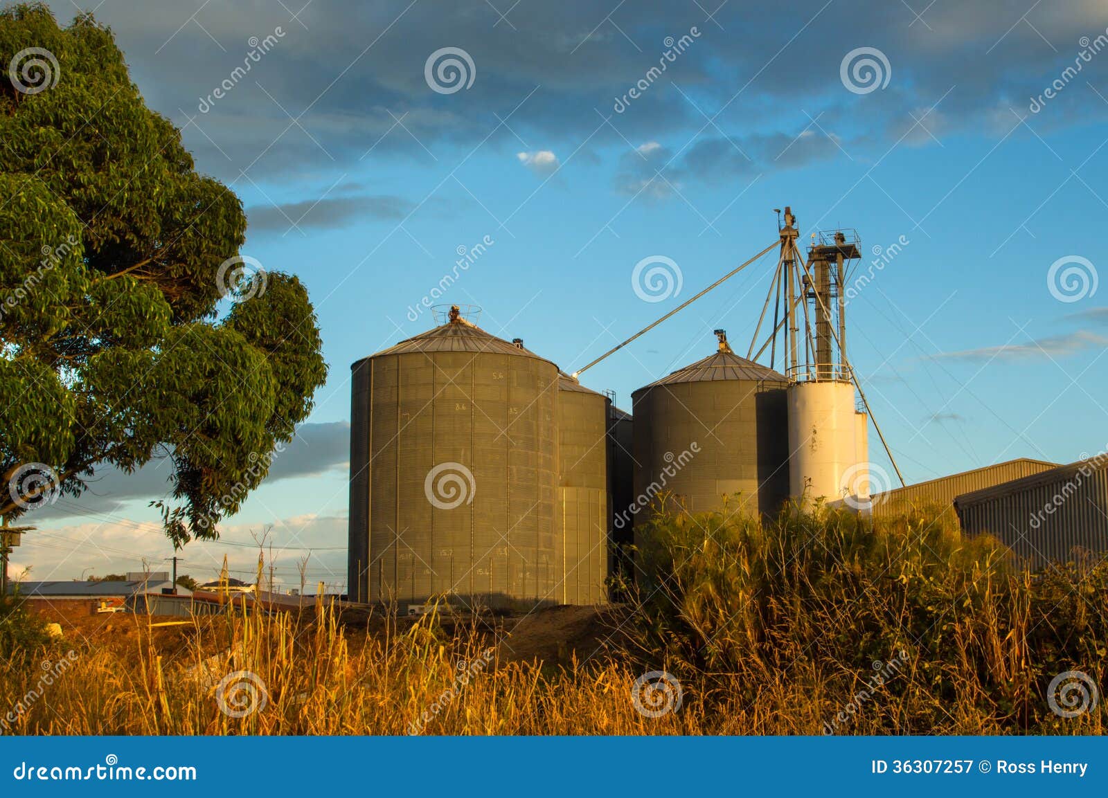 Large Silo s stock image. Image of storage, steel, farm - 36307257