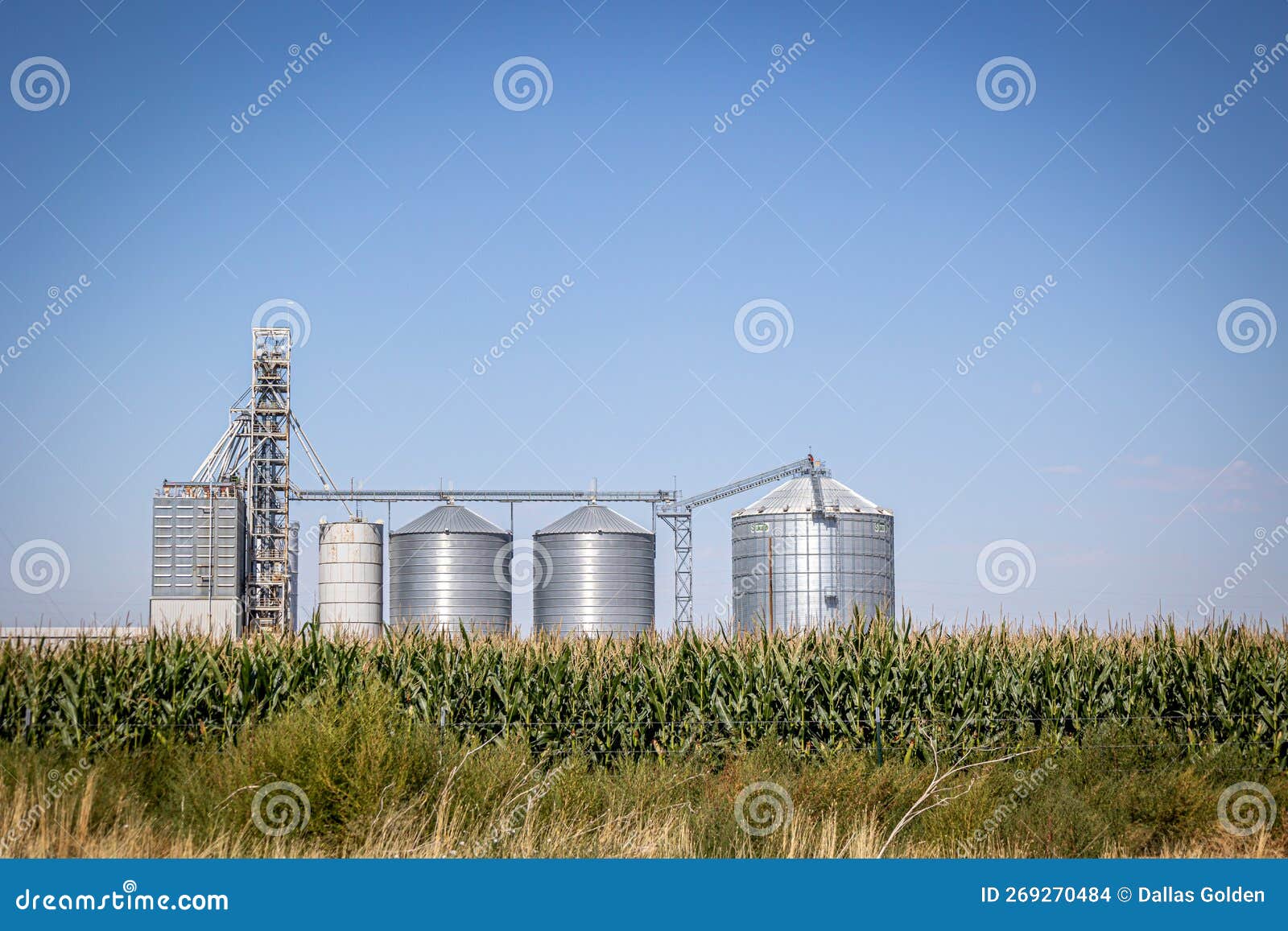 Large Silver Grain Processing Silos at a Farm Stock Photo - Image of ...