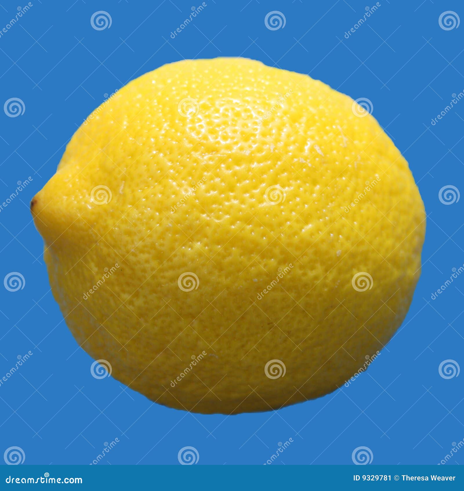 Large Single Lemon stock image. Image of healthy, sour - 9329781