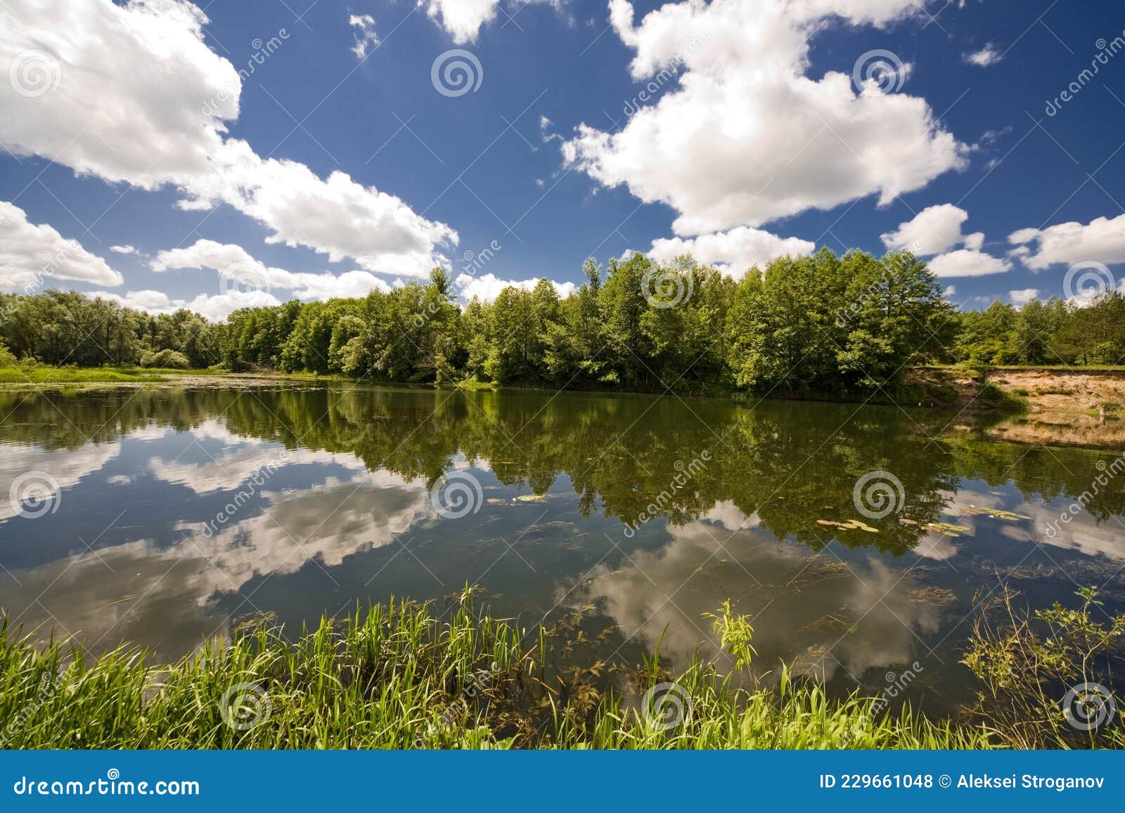 Large Size Photo for Photo Wallpapers, Large Summer Landscape Stock ...