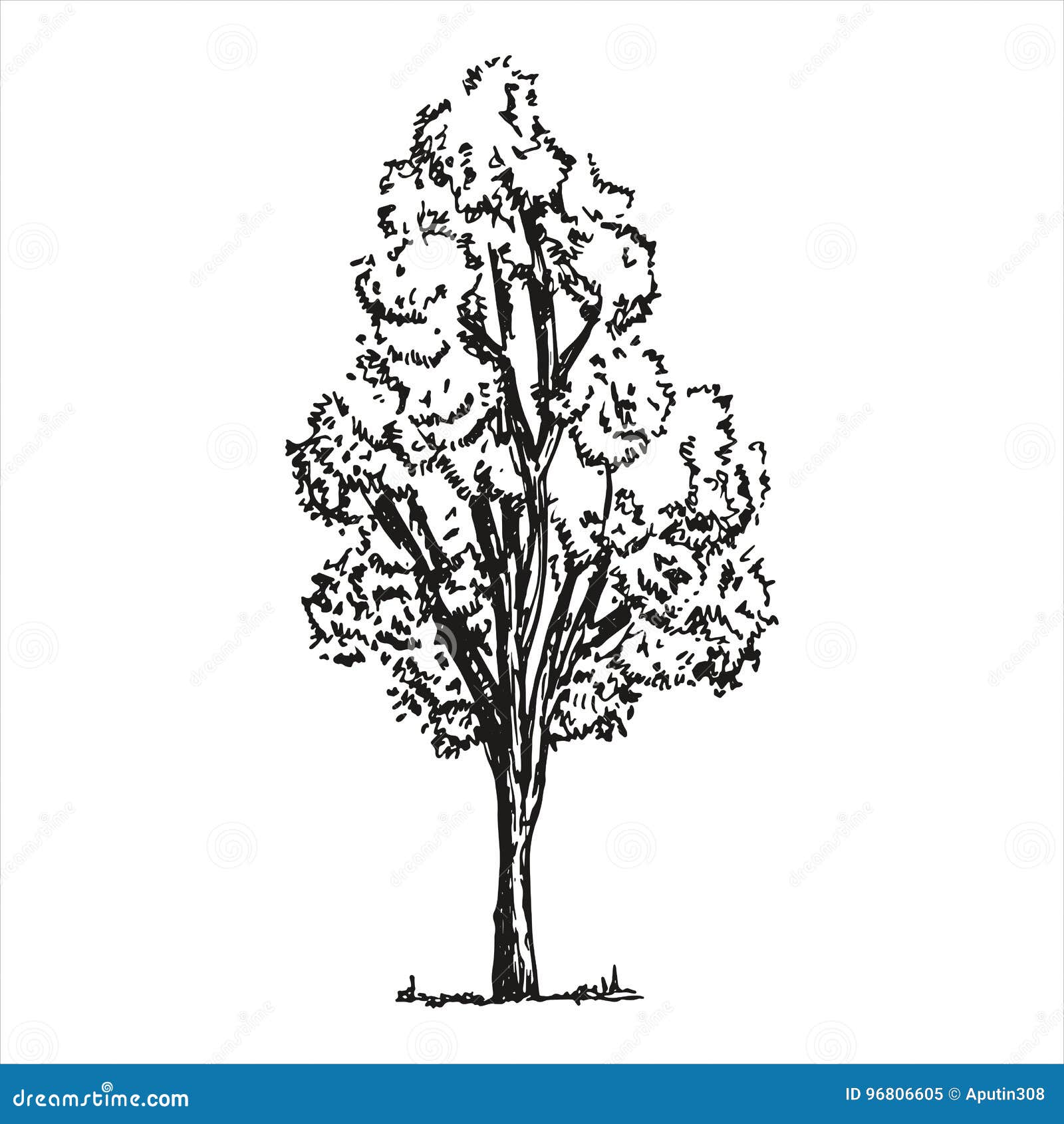 Large Sketch Tree. Vector Illustration Stock Vector - Illustration of ...