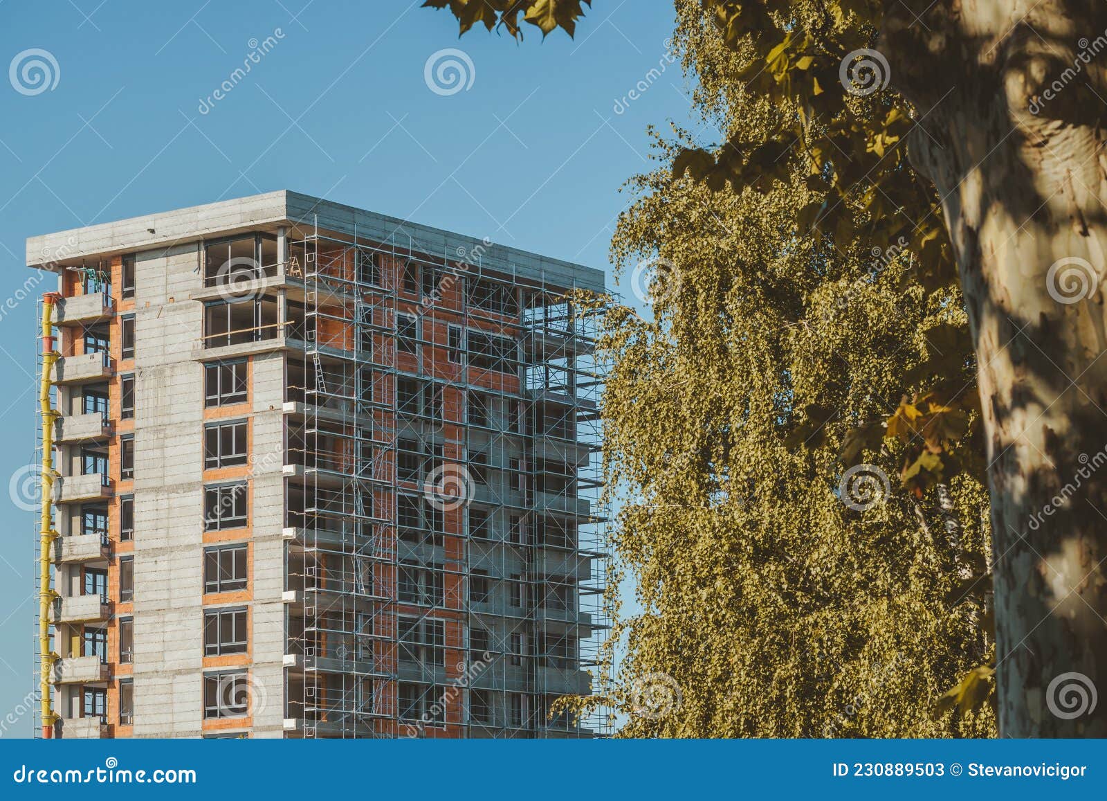 Large Skyscraper Building Under Construction and Green Treetop Stock ...