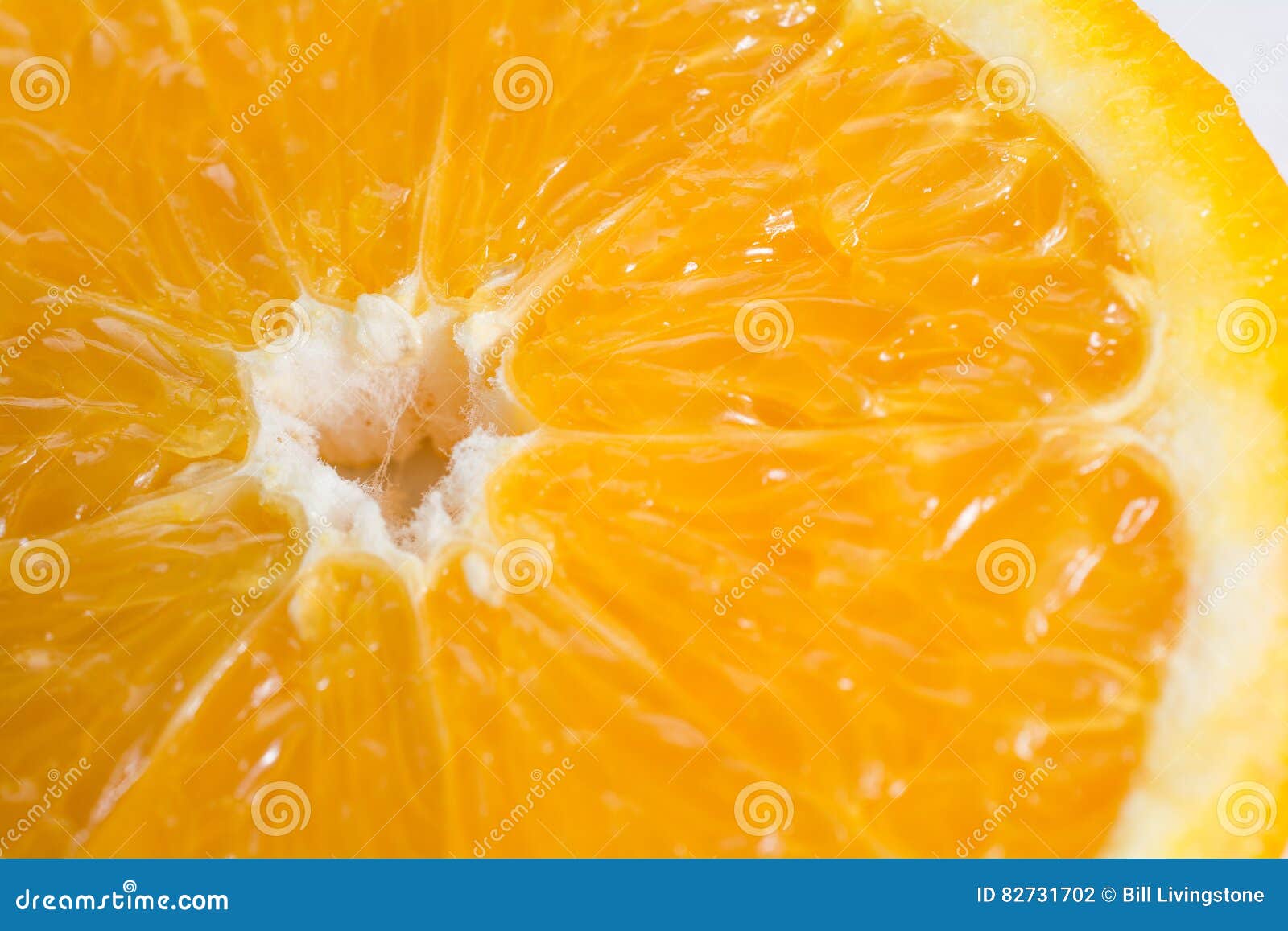 Large Slice of Orange Close Up on White Background Stock Photo - Image ...