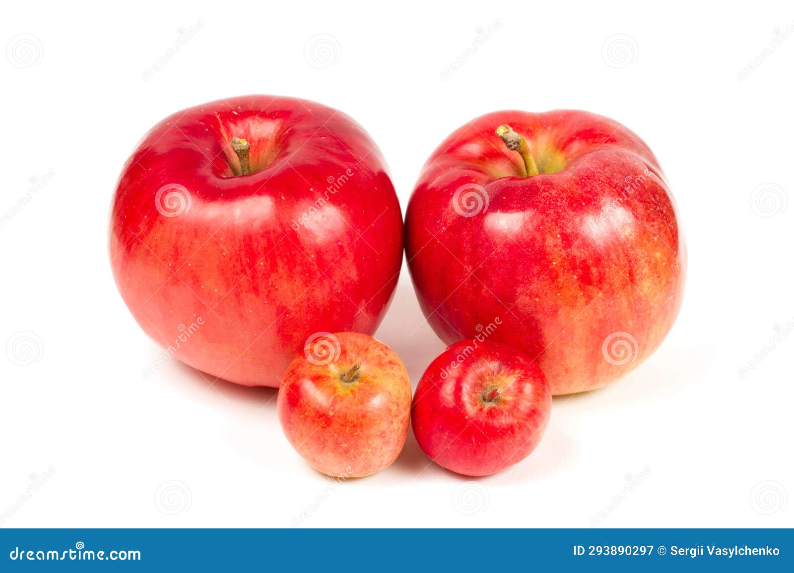 Large and Small Apples on a White Background. Stock Image - Image of ...