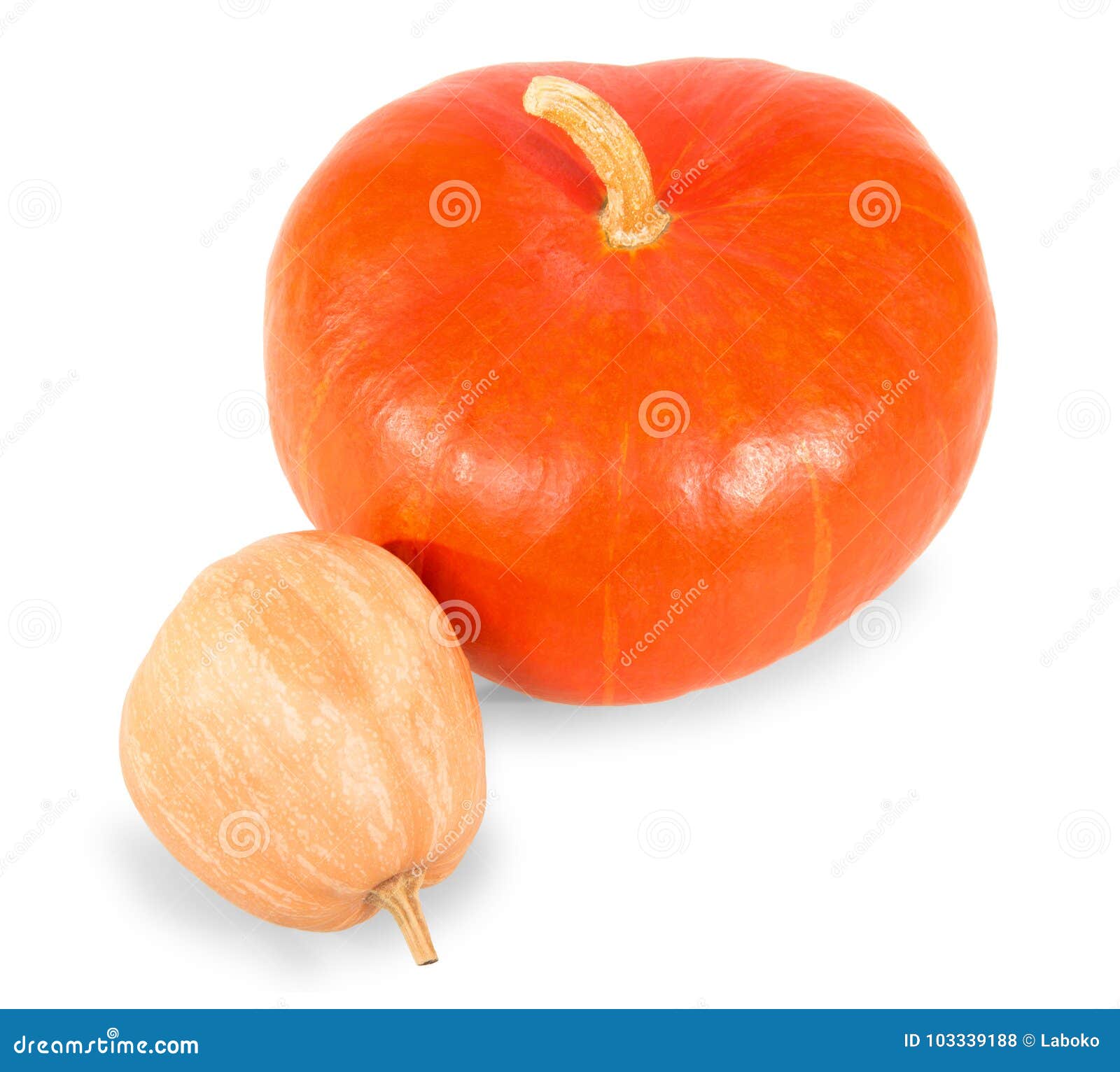 Large and Small Pumpkin, Isolated on White Stock Photo - Image of ...