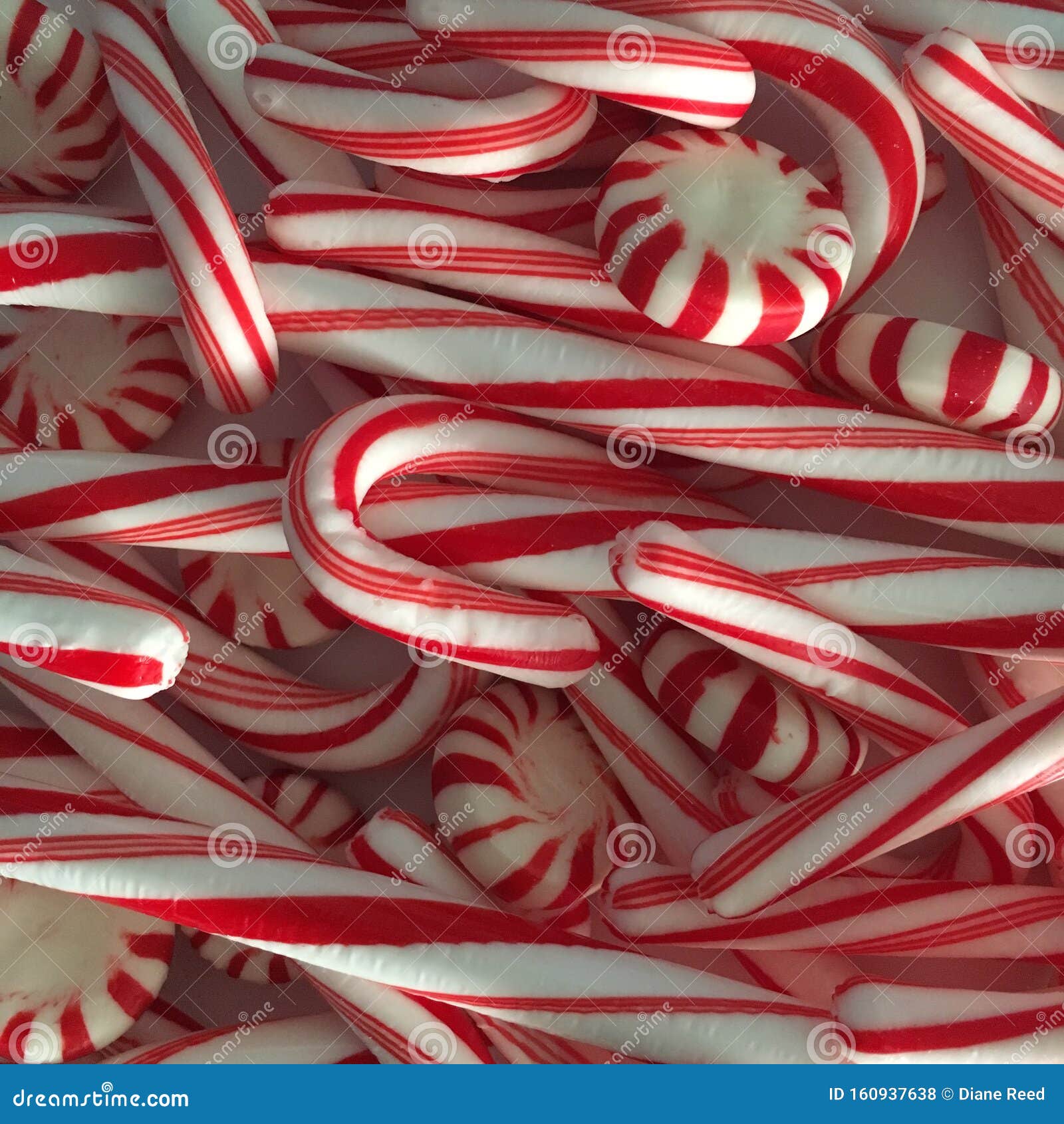Starlight Peppermint Candy With Spiral Pattern Stock Image ...