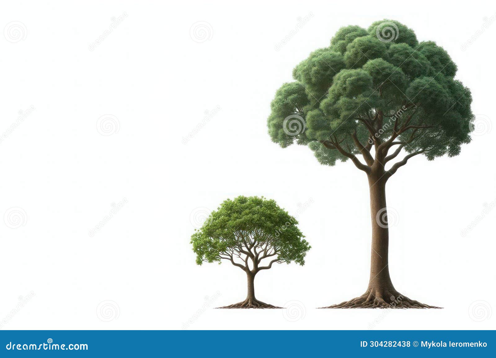 Large and Small Tree on a White Background. Place for Text. Stock ...
