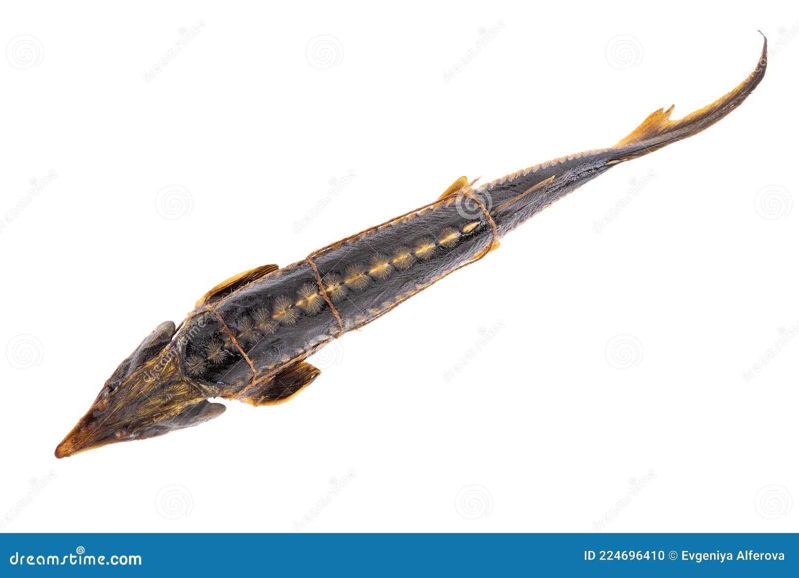Large Smoked Sturgeon with Head on White Background Stock Photo - Image ...