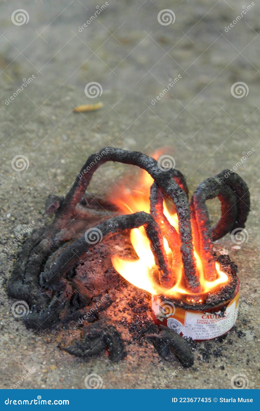 Large Snake Firework Oklahoma Stock Image - Image of larg, snake: 223677435