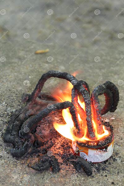 Large Snake Firework Oklahoma Stock Image - Image of larg, snake: 223677435