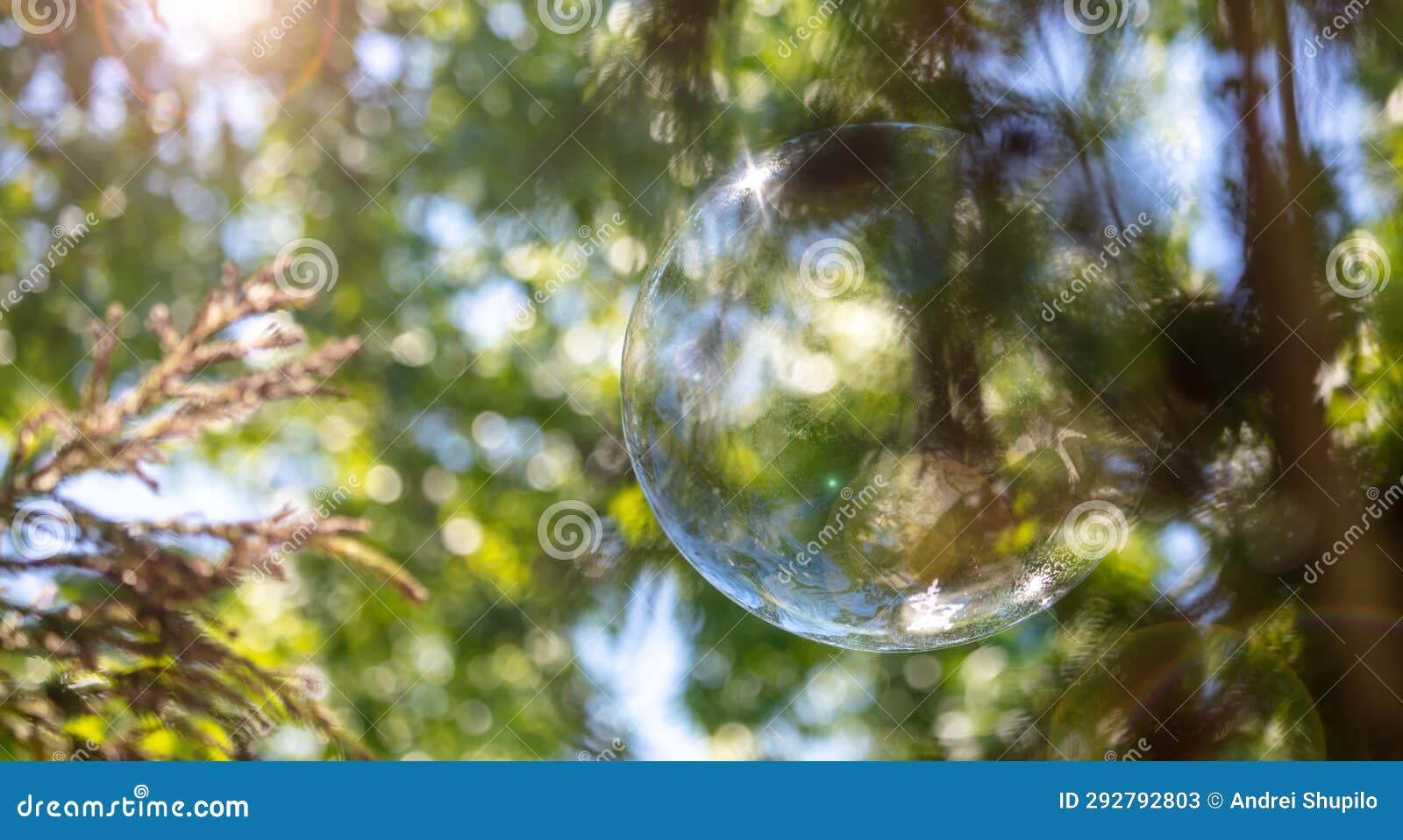 A Large Soap Bubble Flies in the Park. Stock Image - Image of summer ...