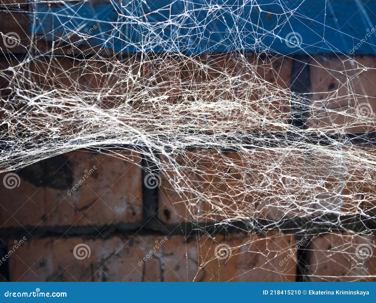 Spiderweb Closeup in Brick Rustic Barn Stock Photo - Image of closeup ...