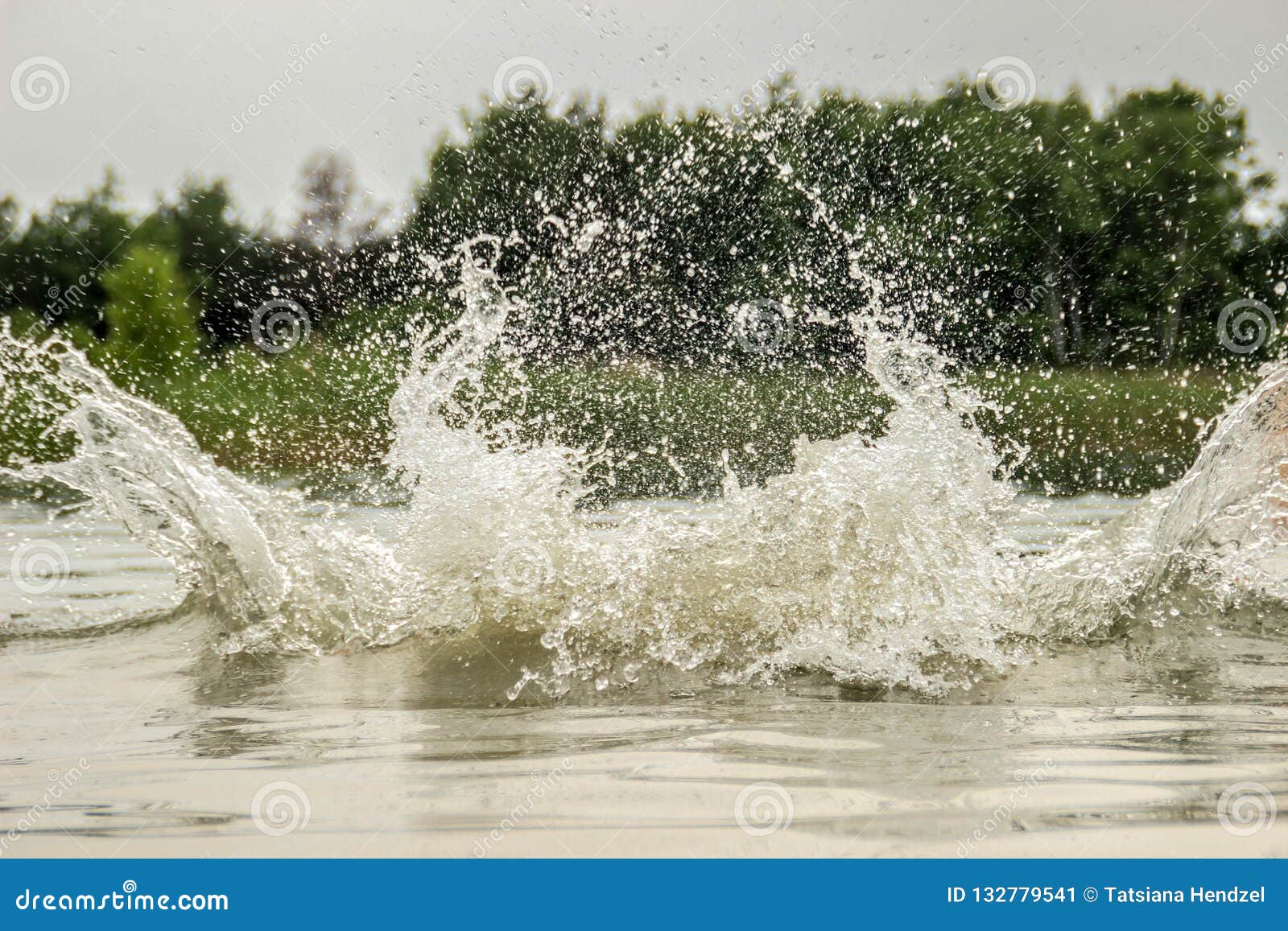 Large Splashes of Water in the Lake Against the Backdrop of the Forest ...