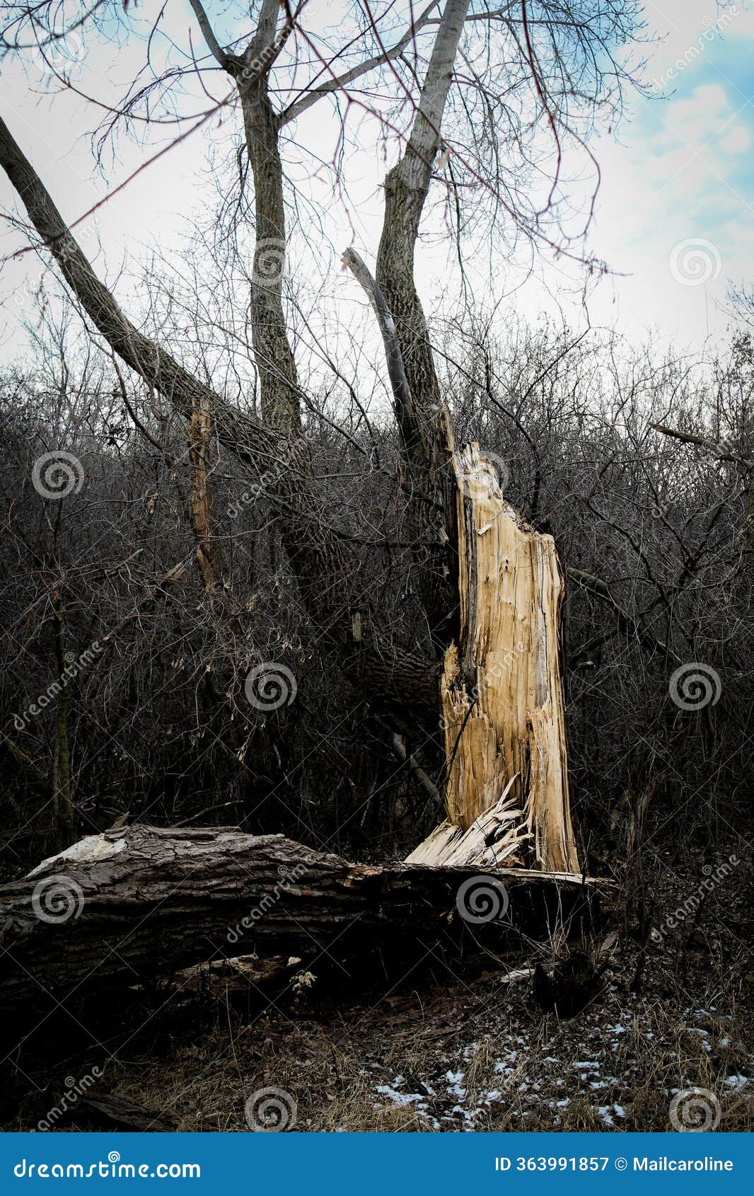Dramatic Nature Background - Big Waves And Dark Rock In Stormy Sea ...