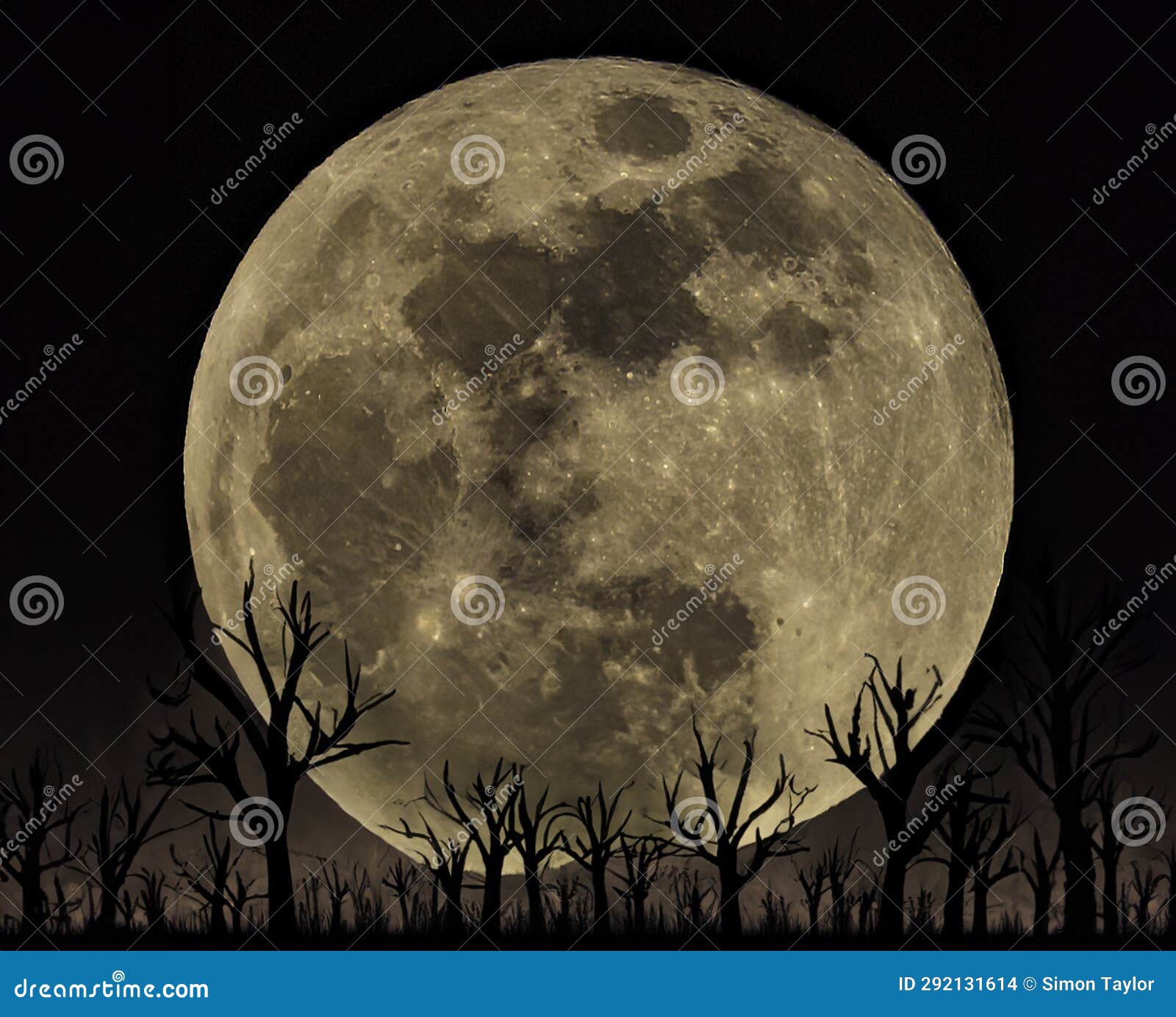 A Large Spooky Halloween Moon and Tree Silhouettes Stock Illustration ...