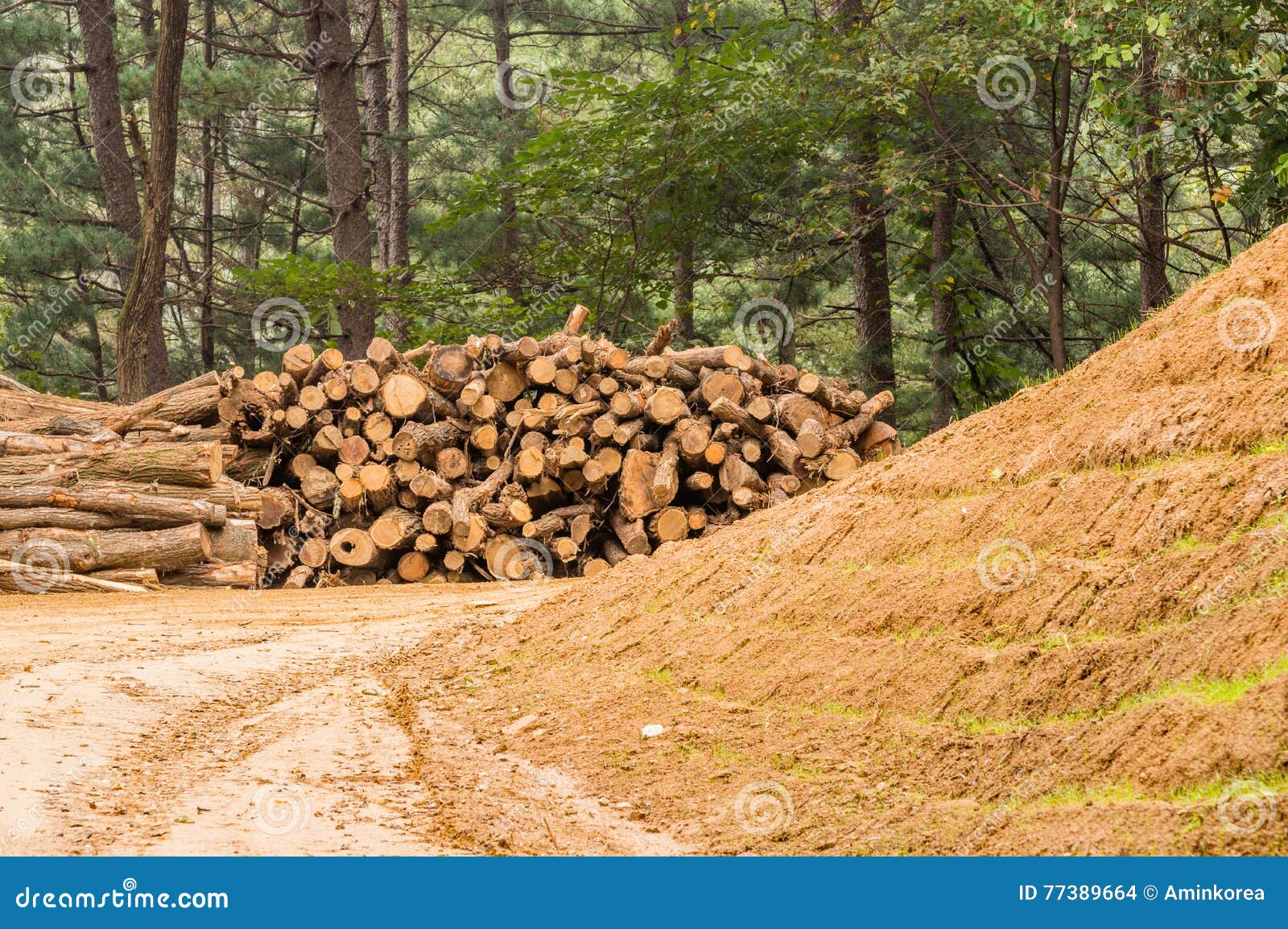 Large Stack of Cut Logs in Background Stock Photo - Image of timber ...