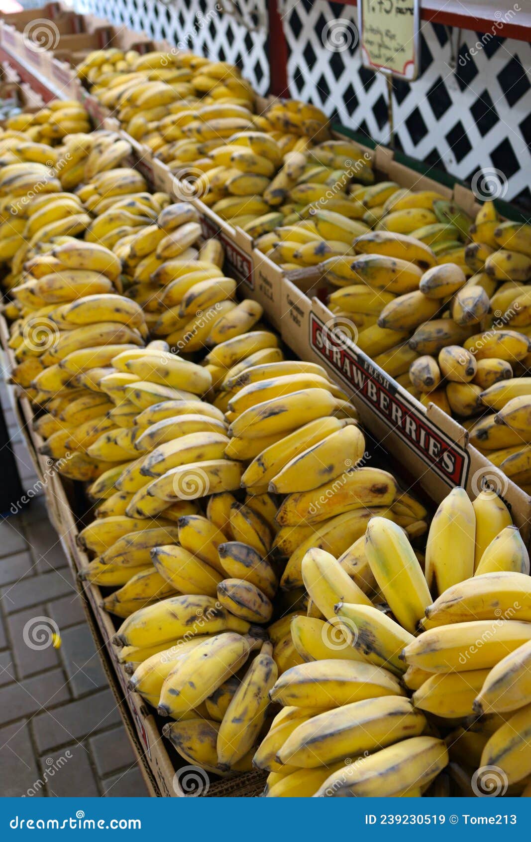 A large pile of bananas stock image. Image of flowering - 239230519