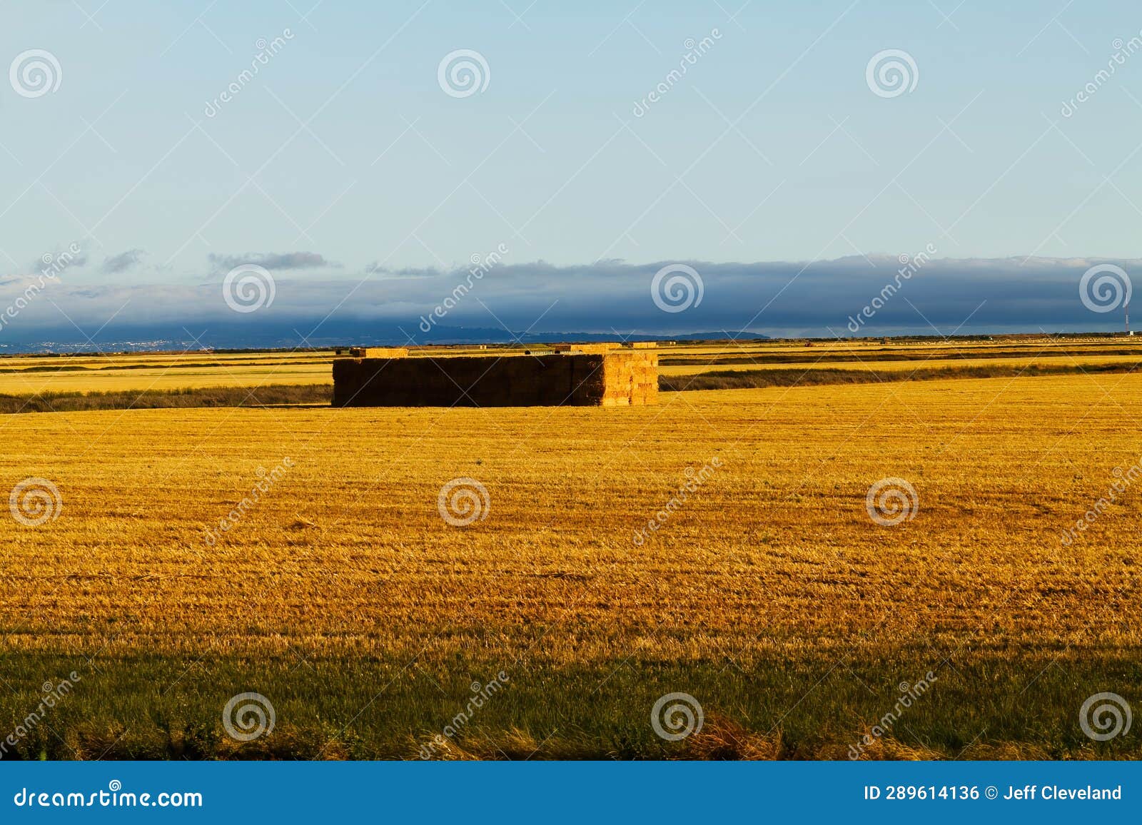 Large Stack of Hay Bales Out in Field with Blue Sky Stock Photo - Image ...