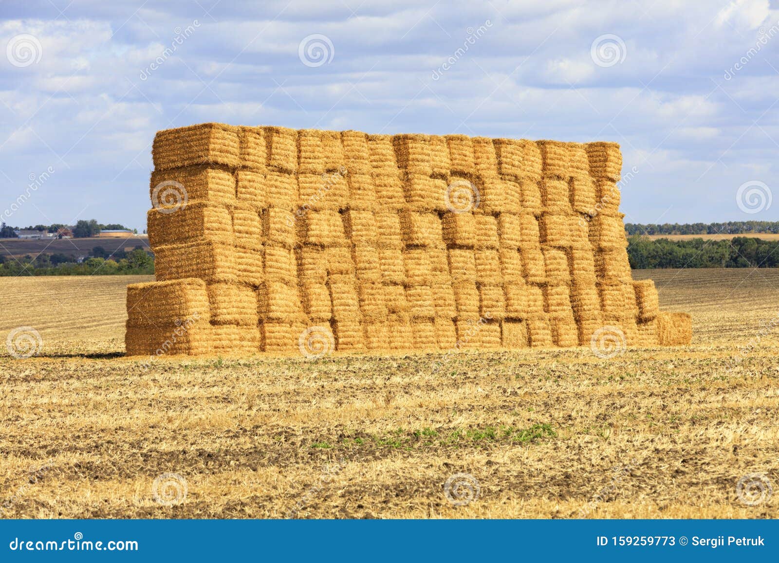 A Large Stack of Straw Piled in a Field after Harvesting Stock Image ...